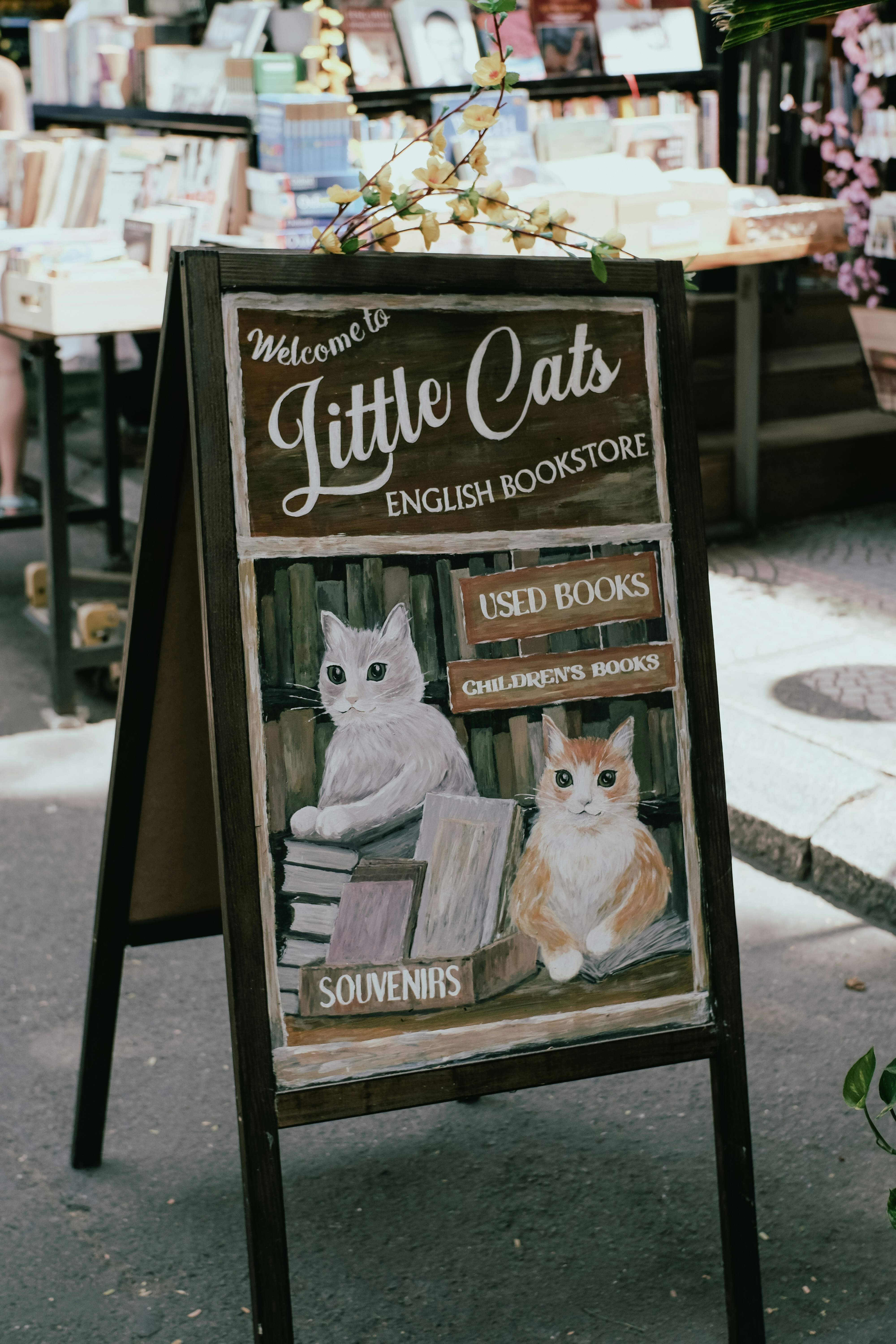 7 Best Cat Cafés to Visit for Pet Cats World Fans - petcatsworld.com
