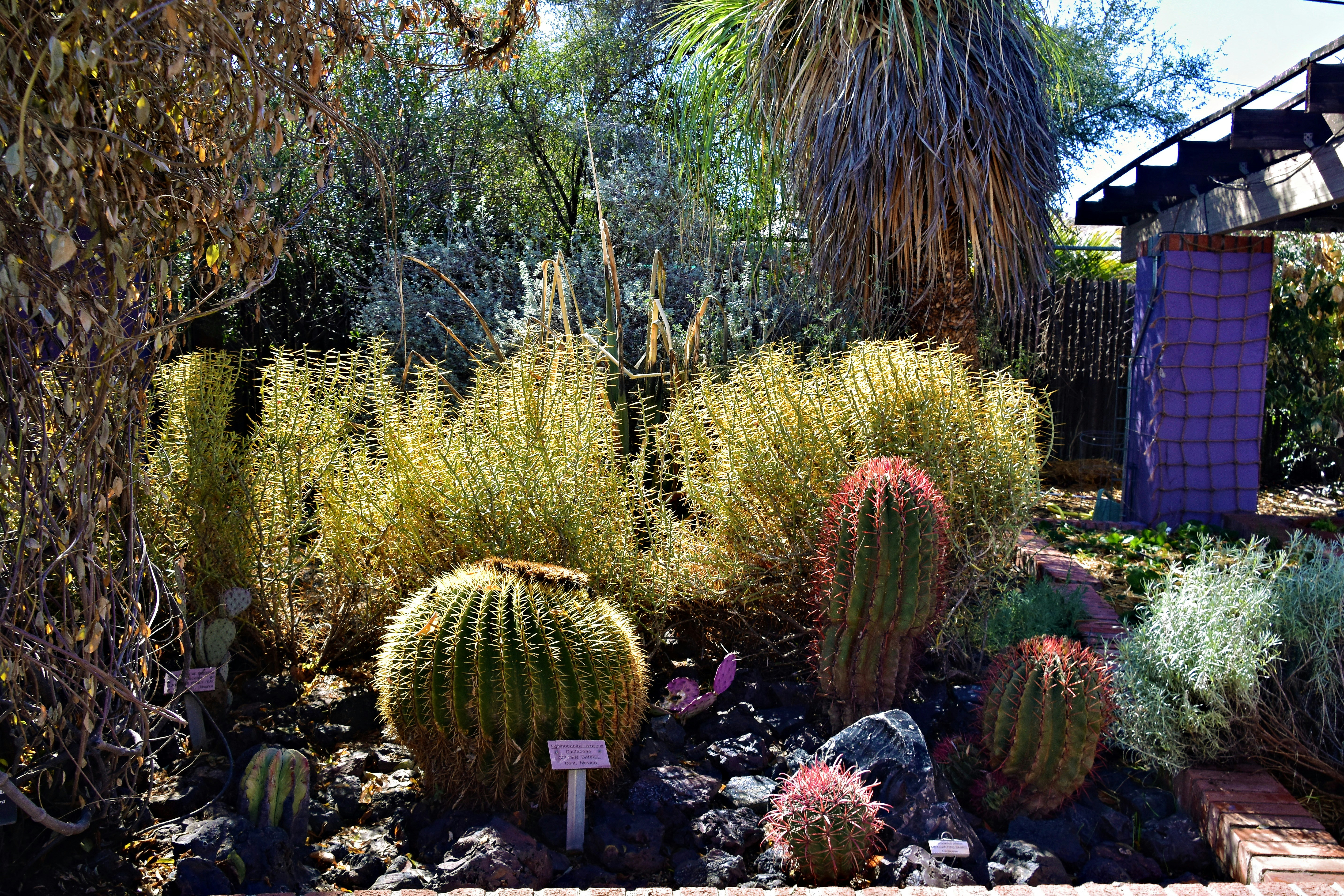 Photo by Jeffrey Eisen with Nikon D5600