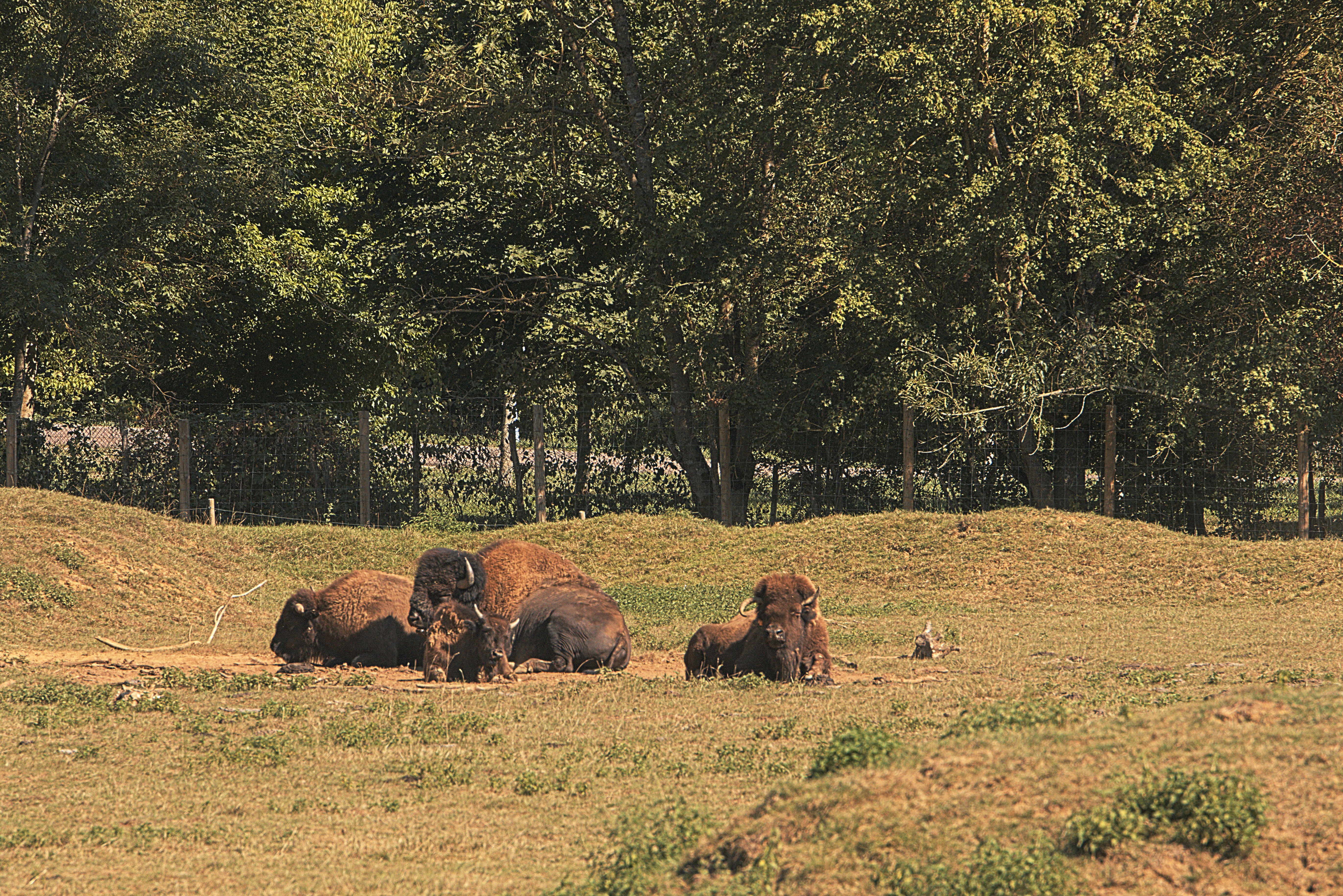 Photo by GOETZ Jean-Pierre with Canon EOS 70D