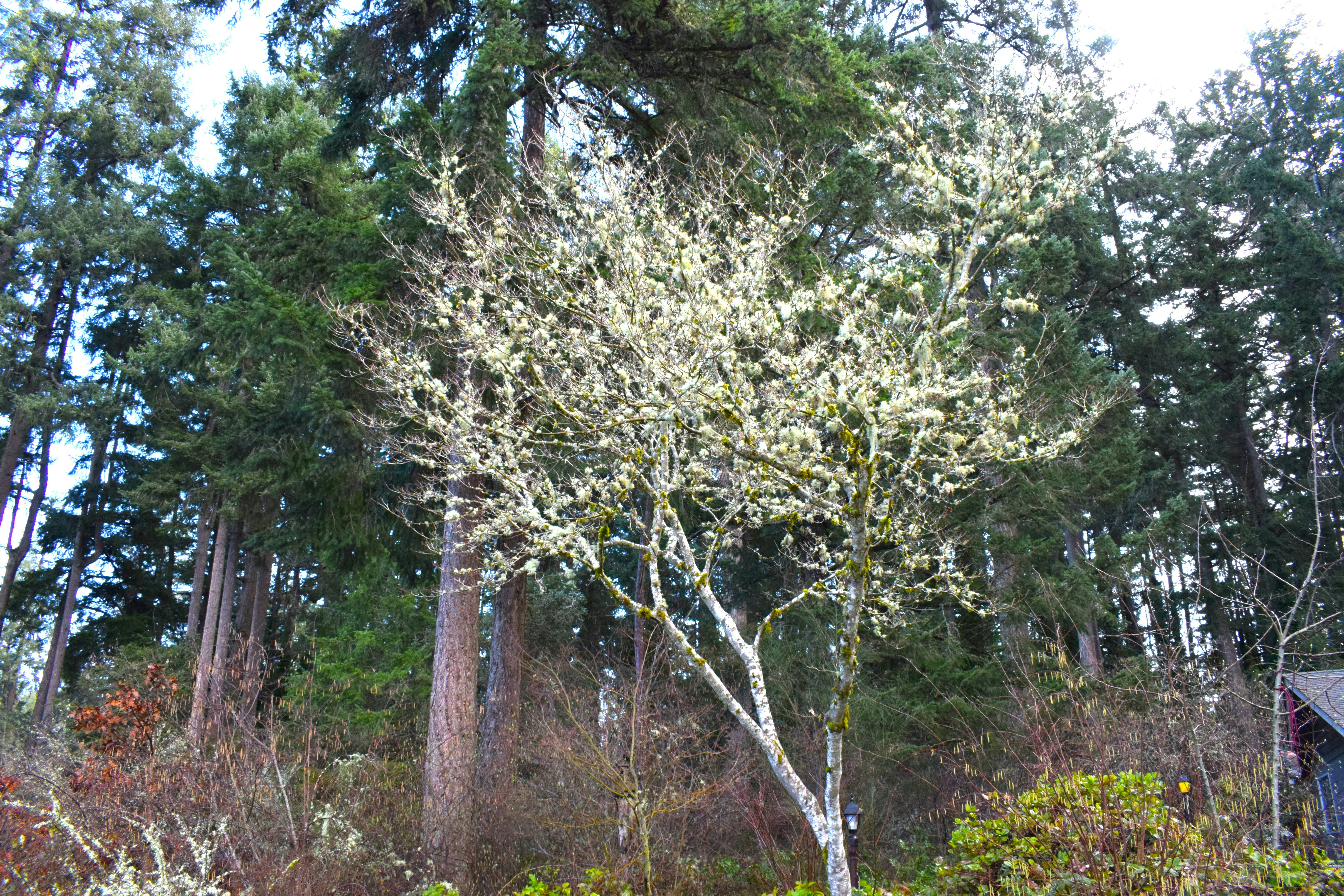 Photo by fr0ggy5 with Nikon D3300