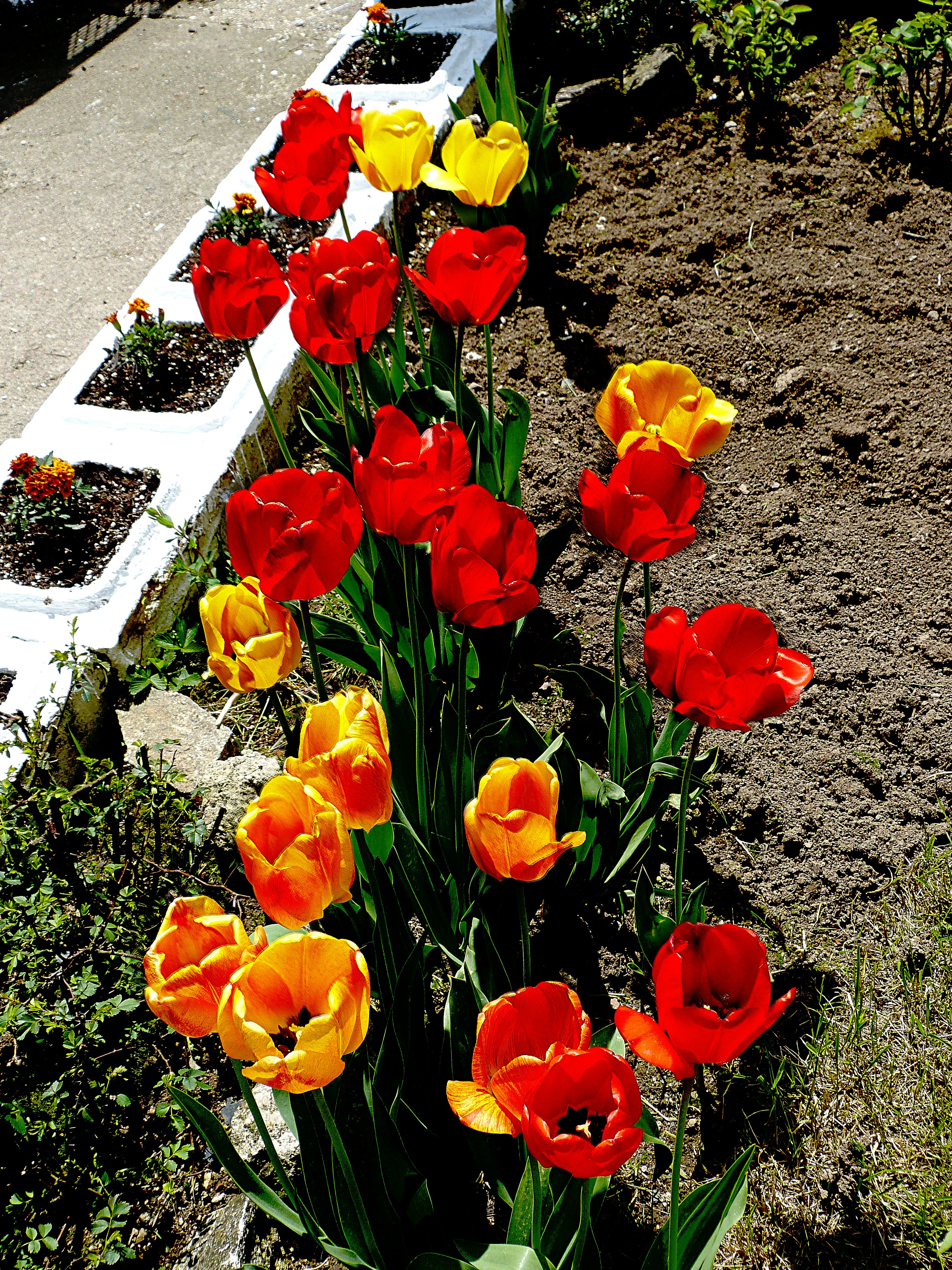 Photo by GOETZ Jean-Pierre with Panasonic Lumix FZ150