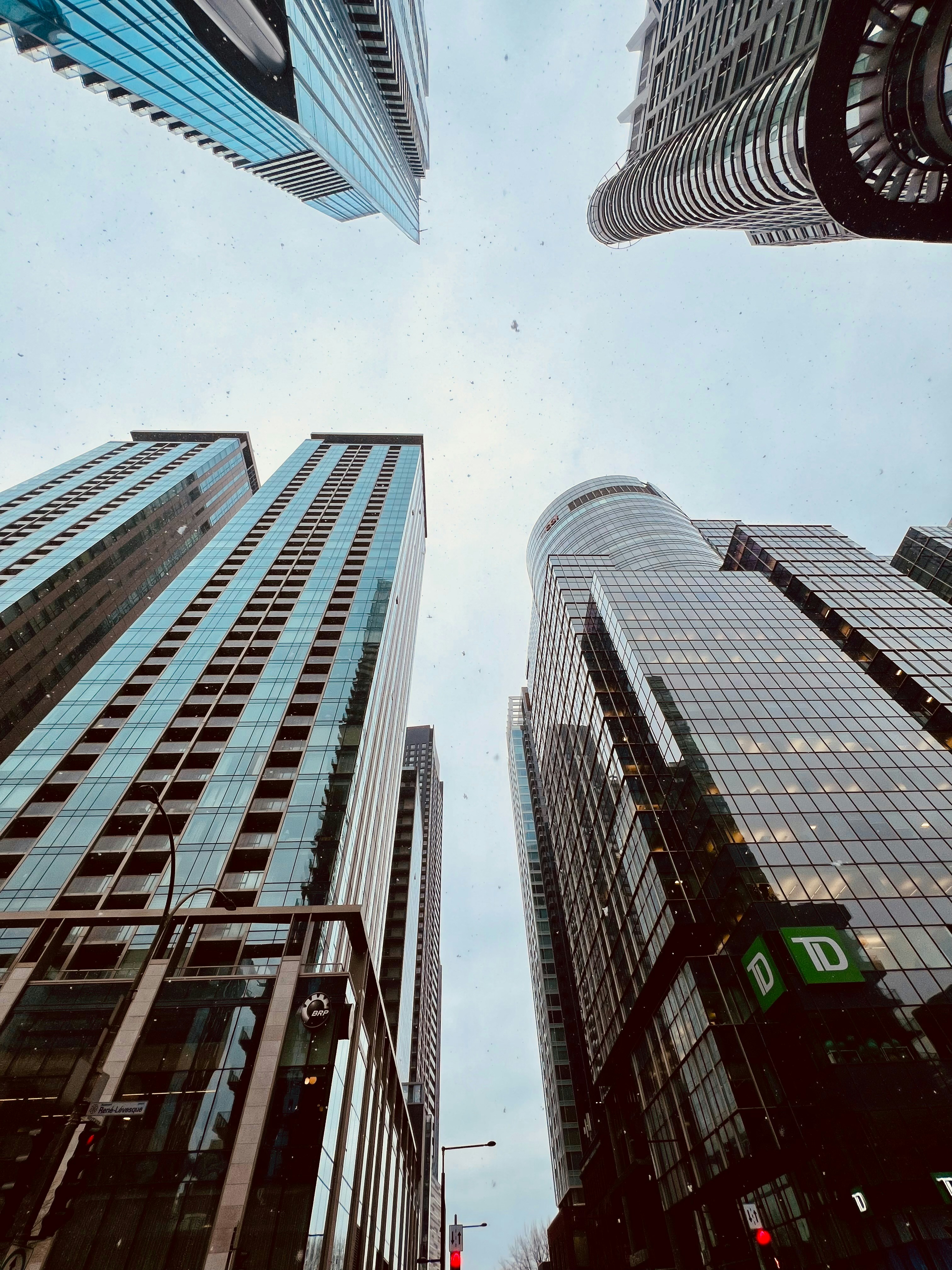 Skyscrapers | looking up at tall buildings in a city
