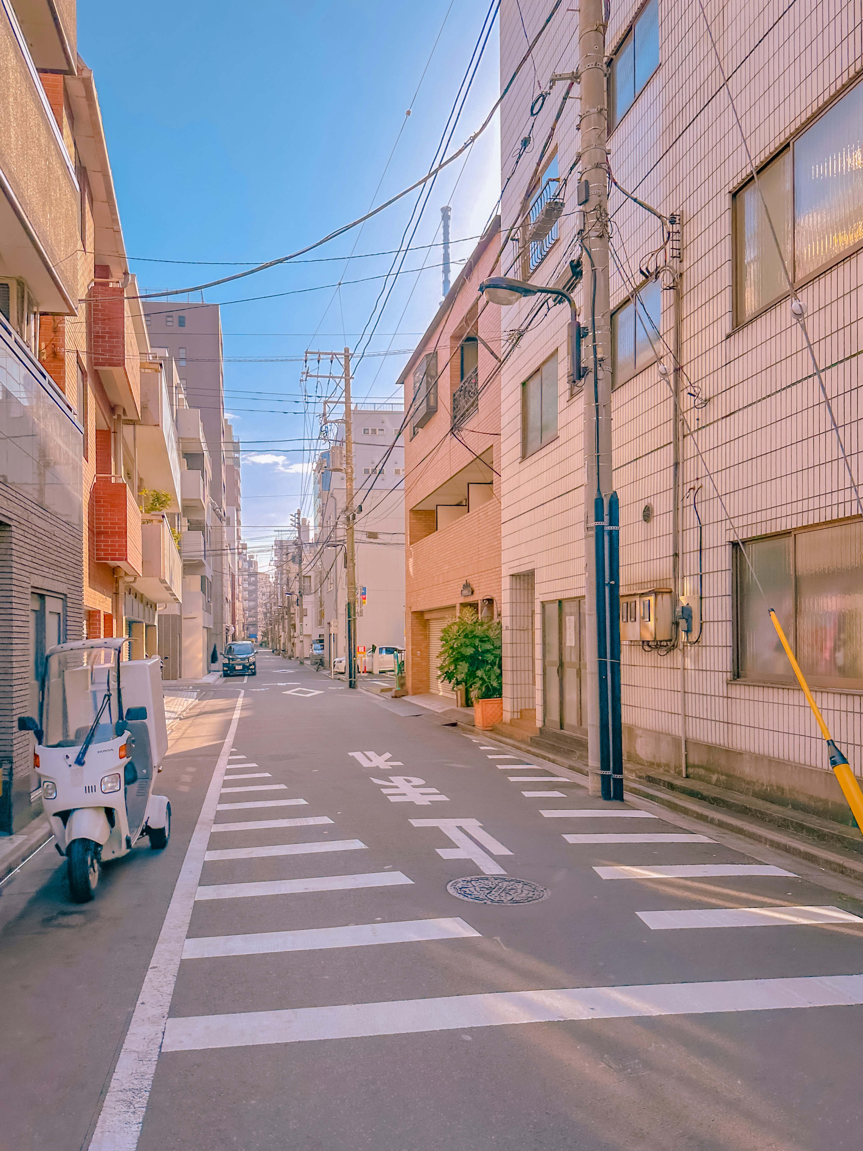 Photo by Nopparuj Lamaikul with Apple iPhone 14 Pro Max