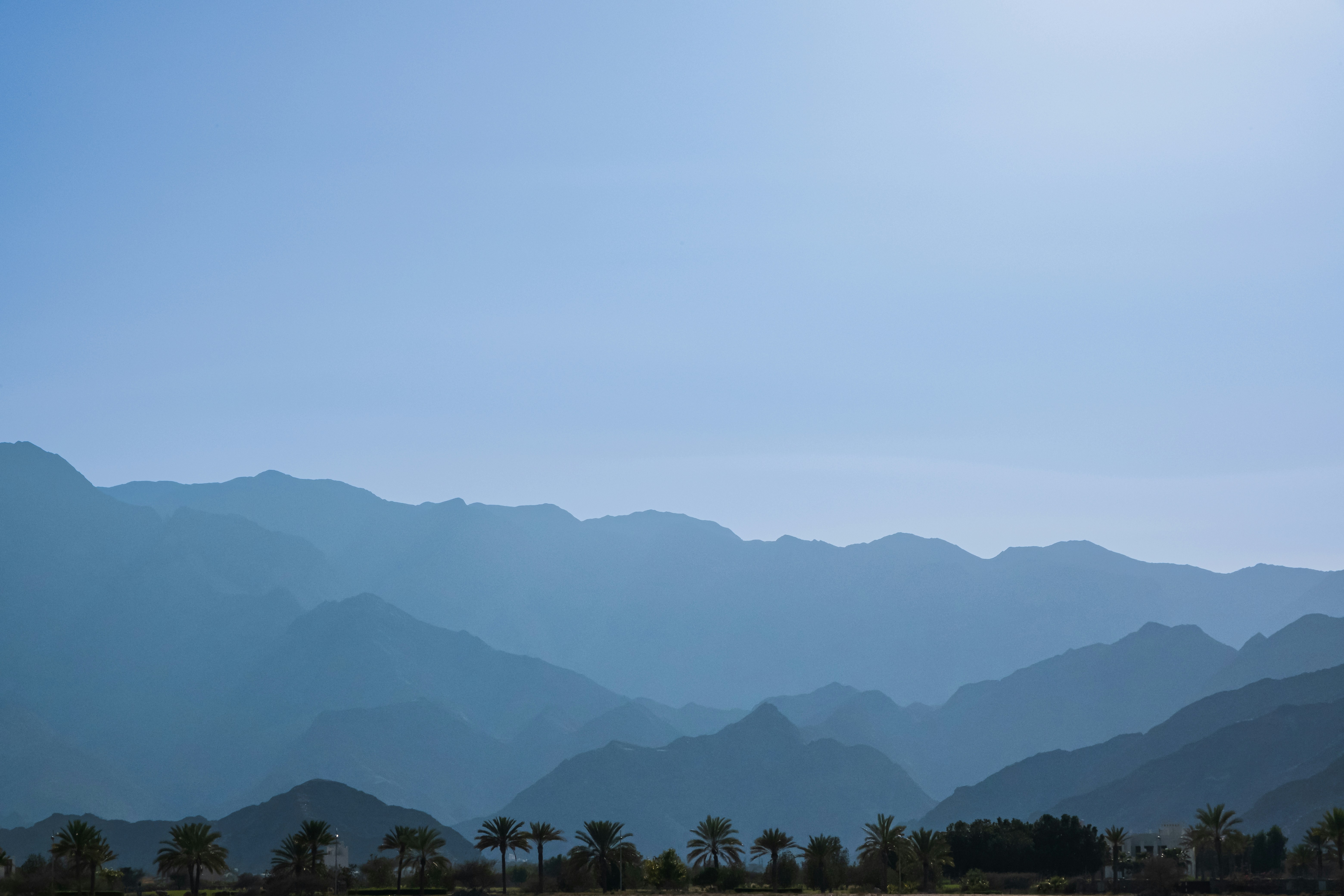 Blue Veil Across the Range: Palm-Line Horizon
