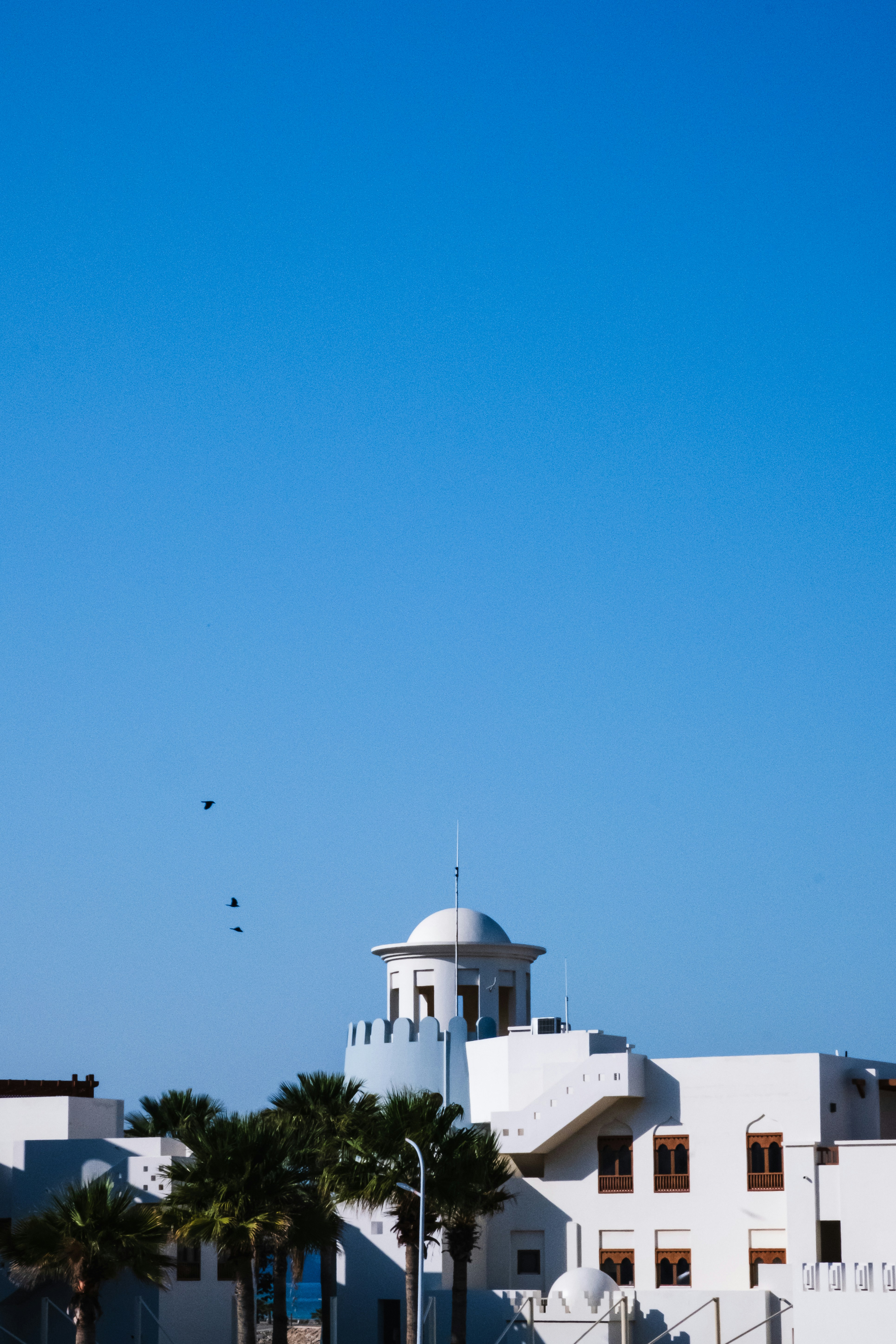 Photo by Husam Harrasi with Fujifilm X-T30 II