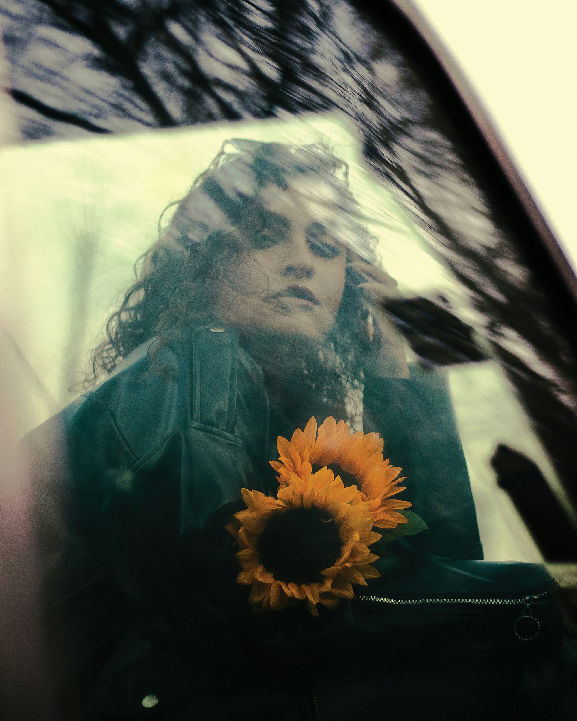 Sunflower in a Glass Veil: A Portrait Reflected