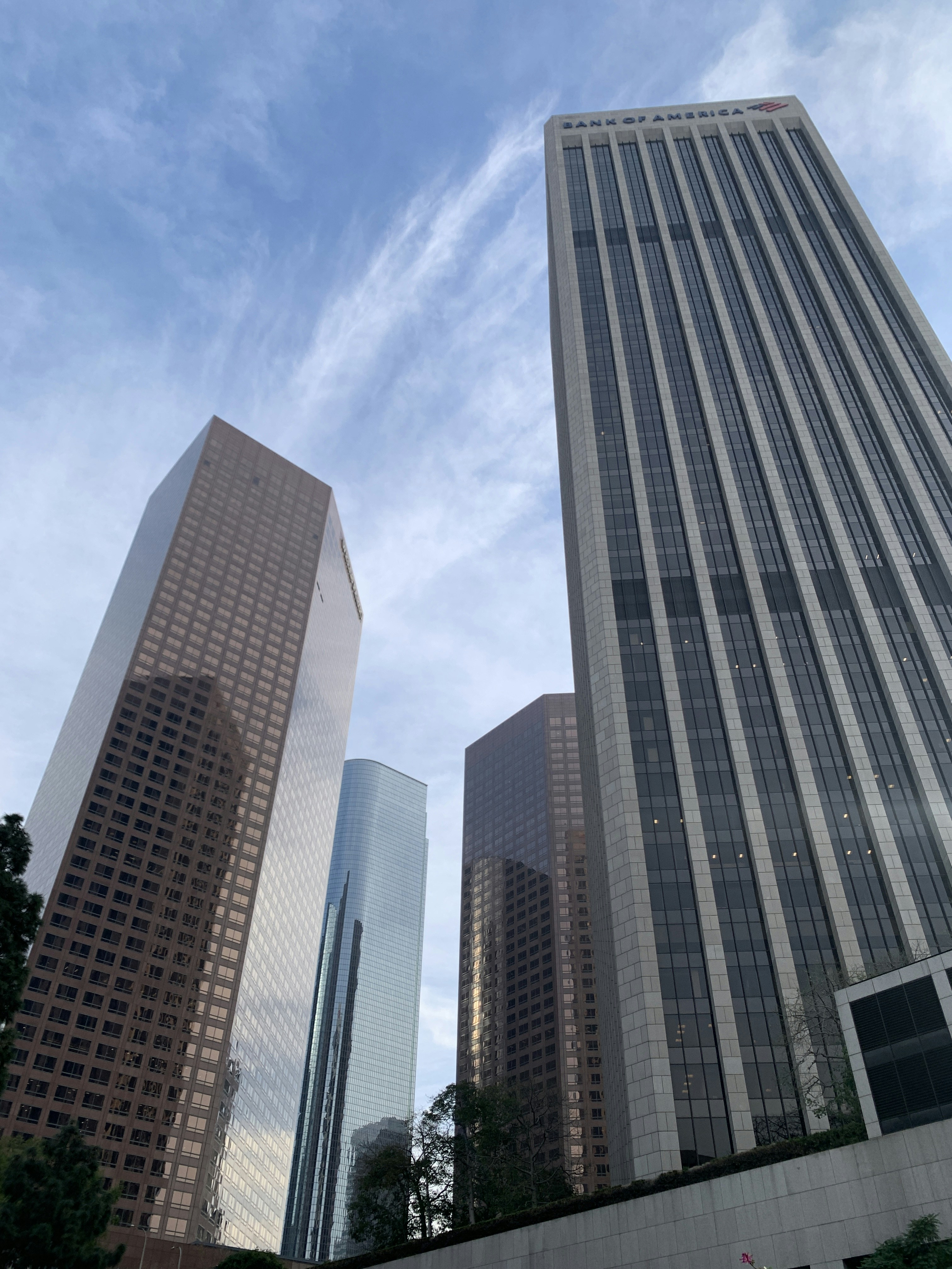 Photo by Isaac Bandstra with Apple iPhone XS