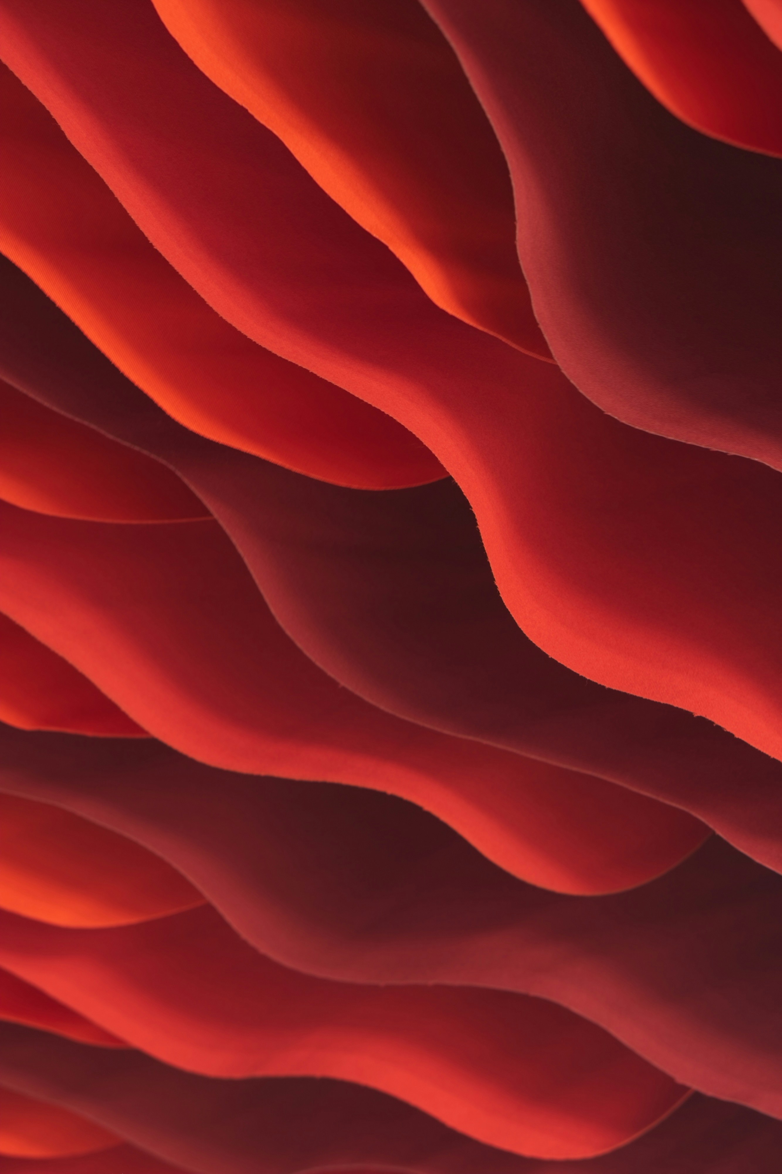 999+ Red Abstract Pictures | Download Free Images on Unsplash