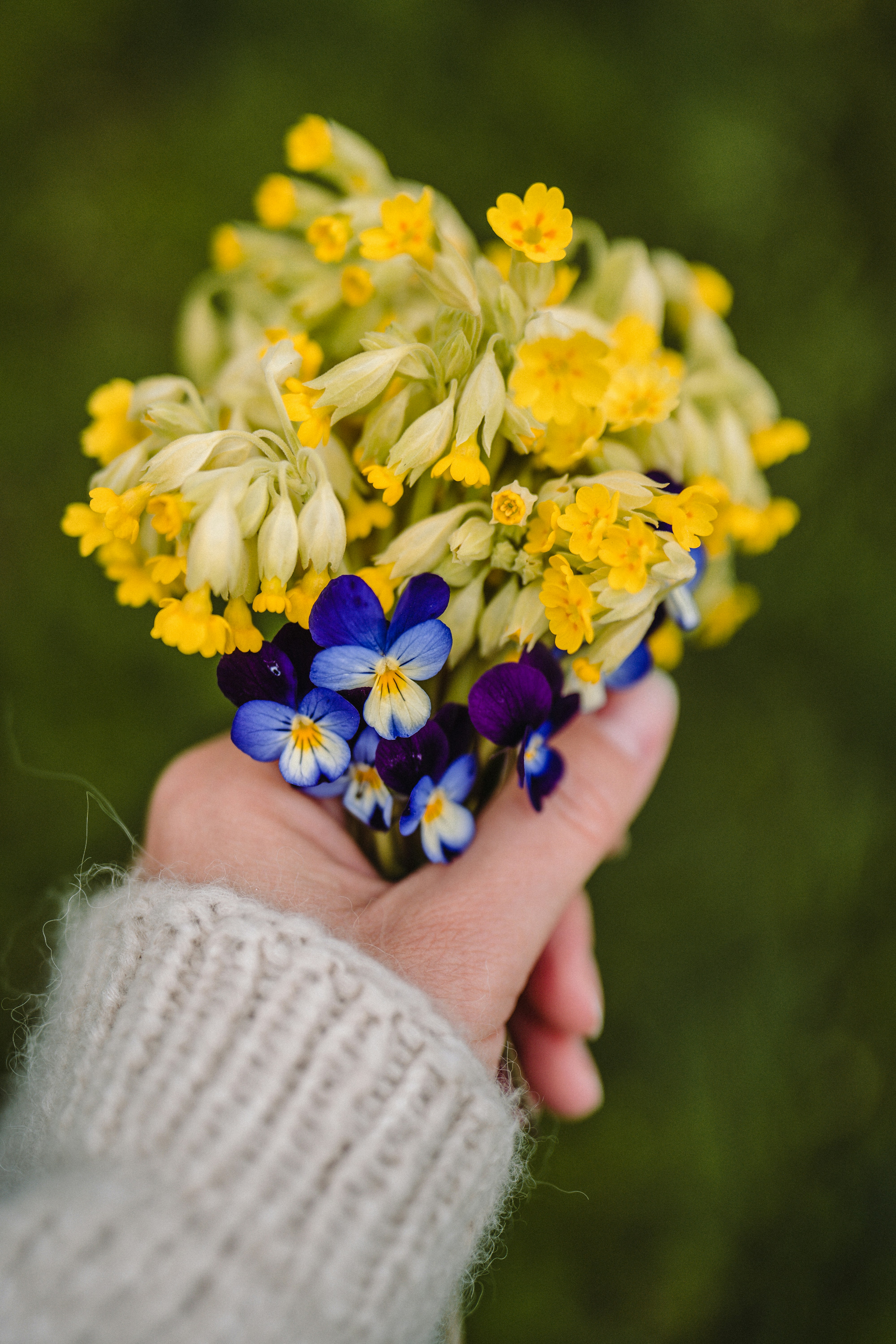 Indigo and Gold: A Hand-Held Bouquet with Soft Focus and Bold Color
