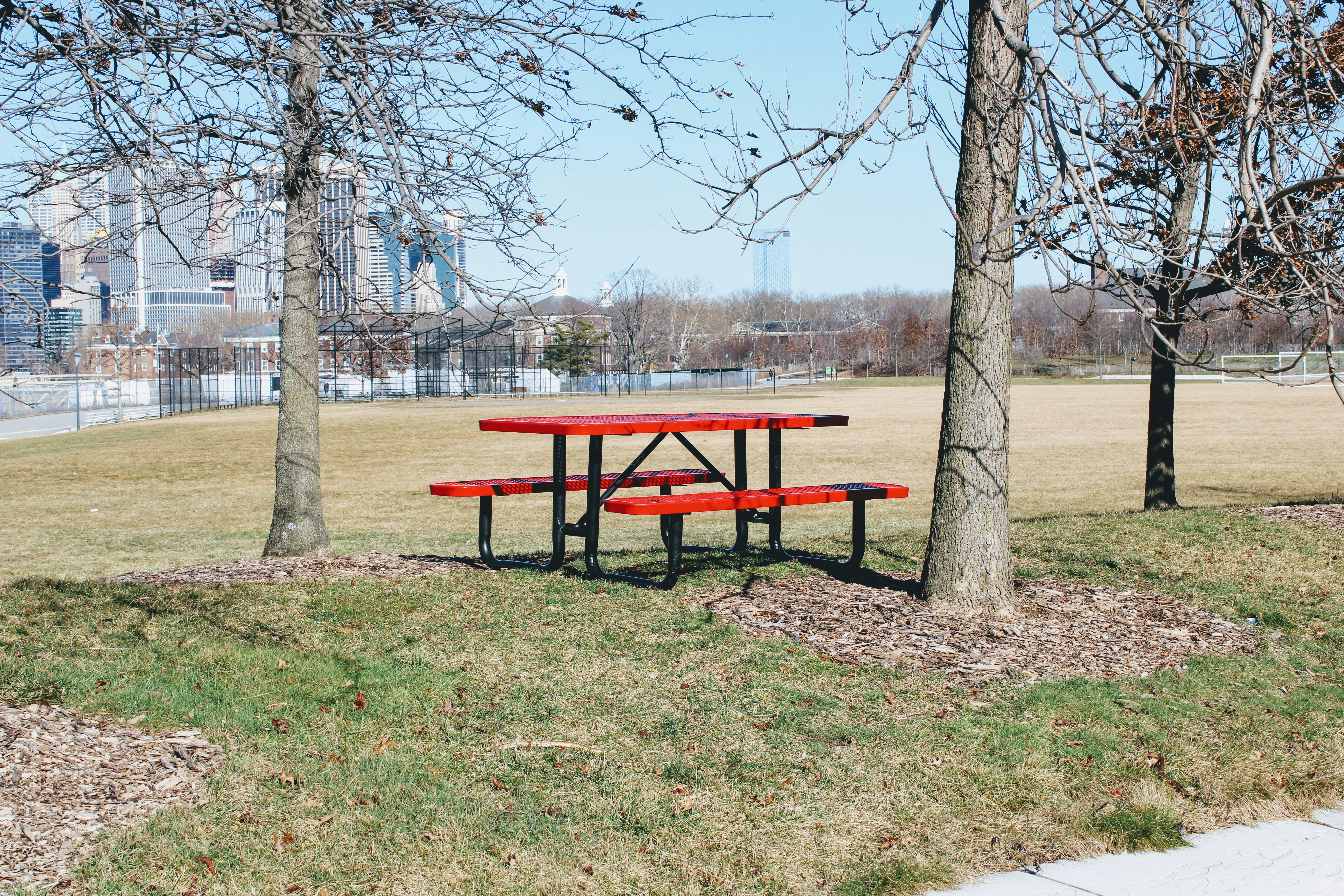 A red picnic table in a park with trees photo – Free Furniture Image on ...