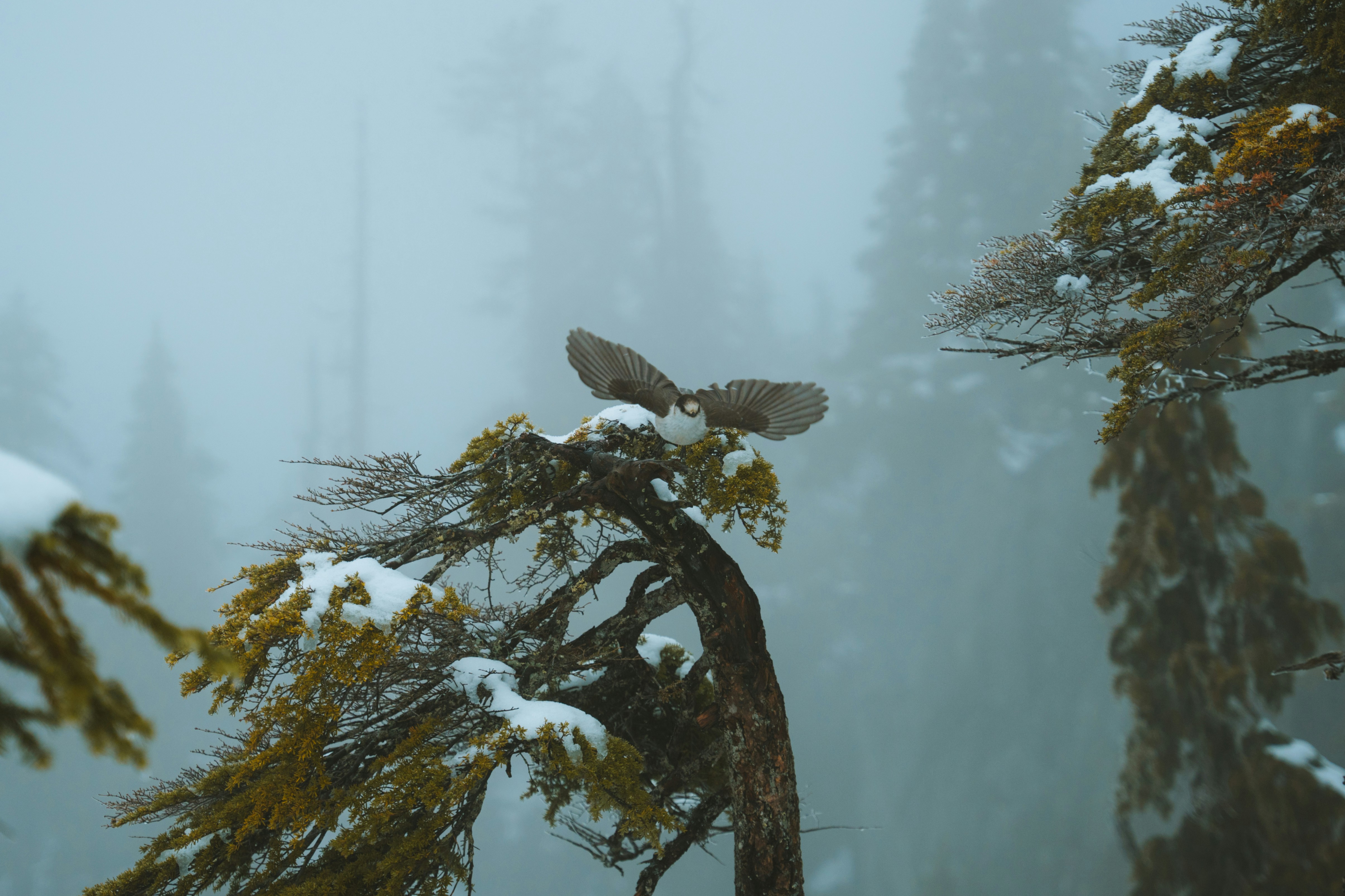 Photo by Luke Miller with Sony Alpha 7 IV