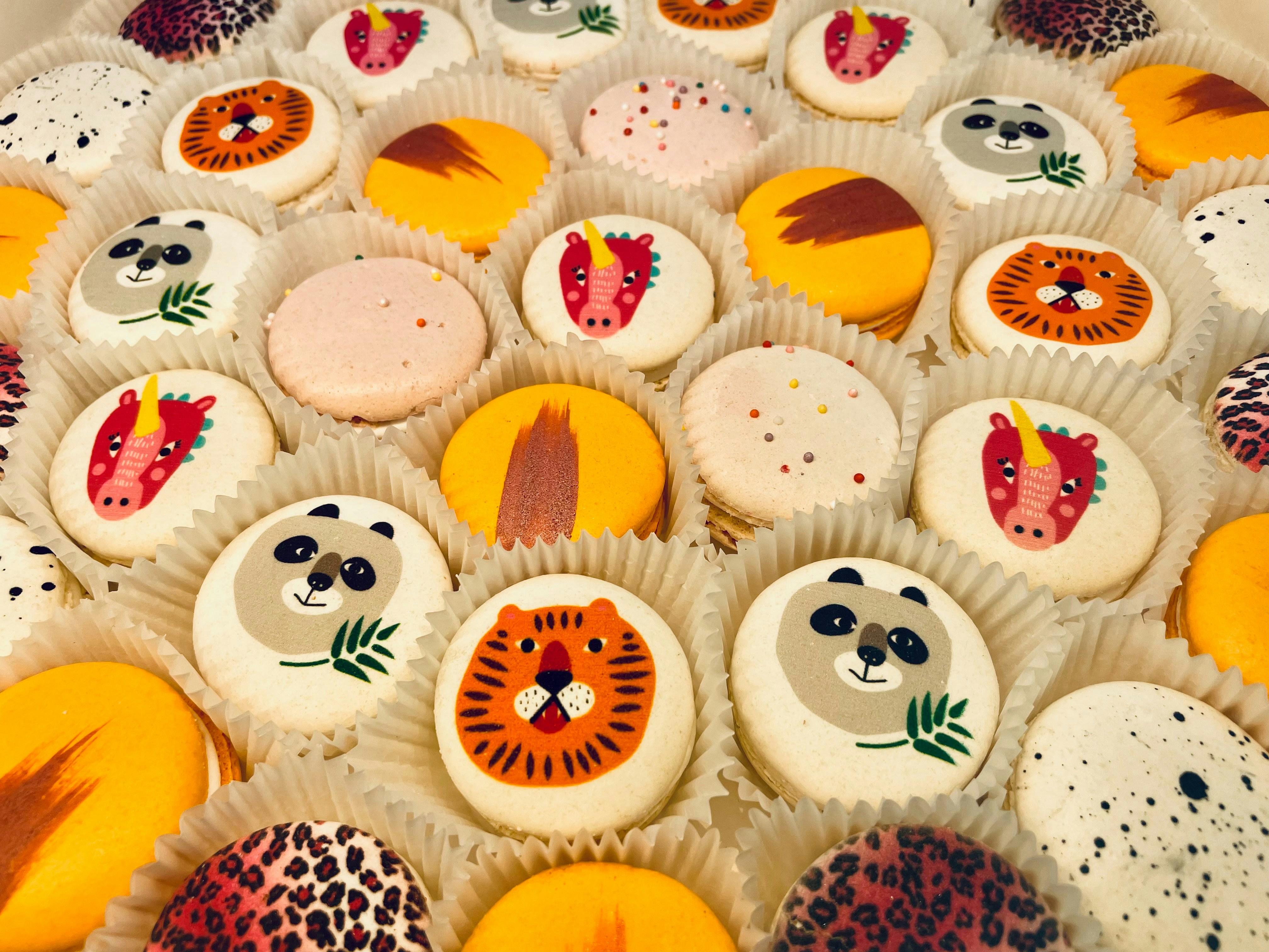 Cupcake Menagerie: A Gridded Parade of Panda, Tiger, and Fox Faces
