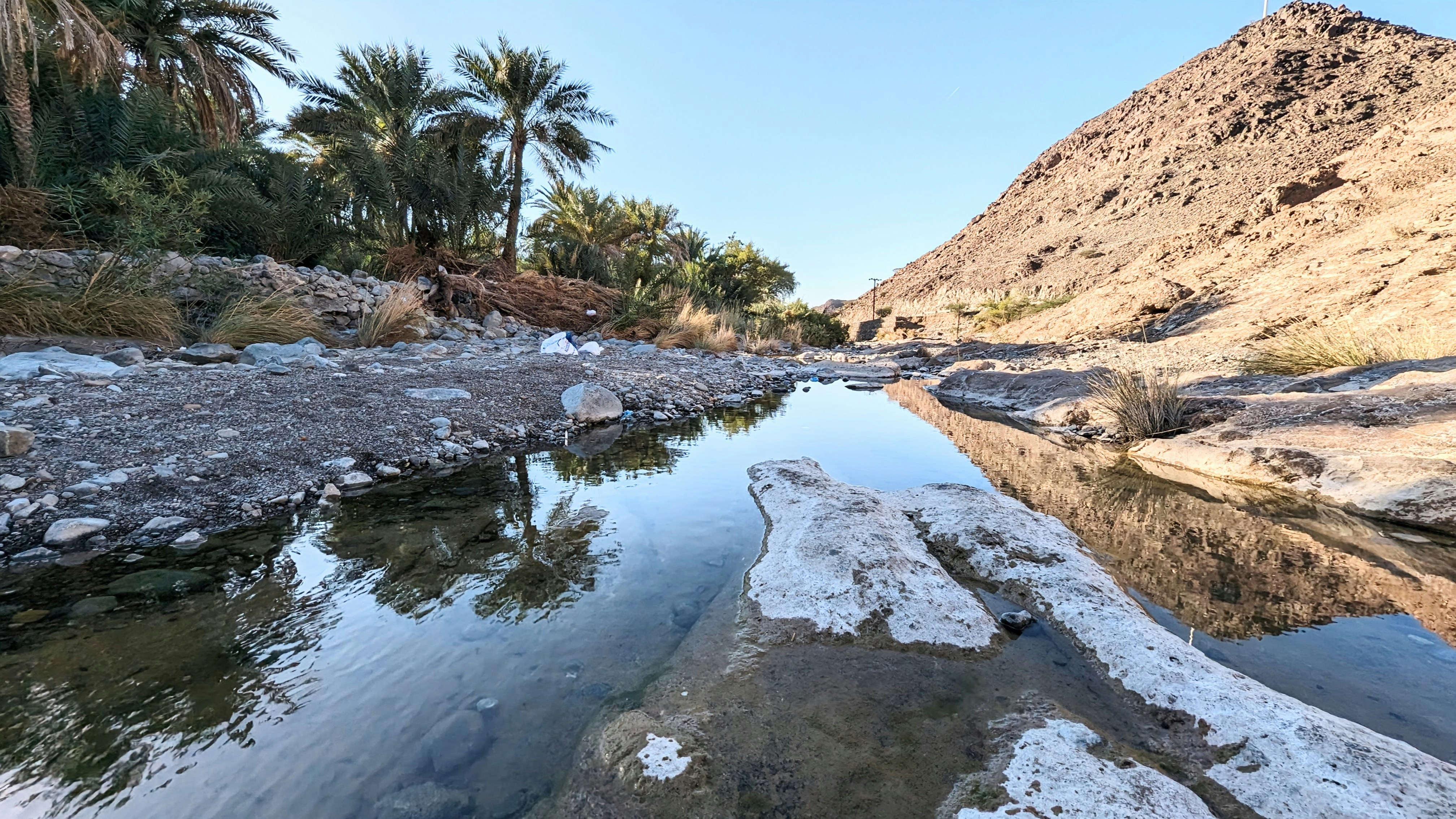 Foto Un río que corre a través de un paisaje desértico con palmeras ...