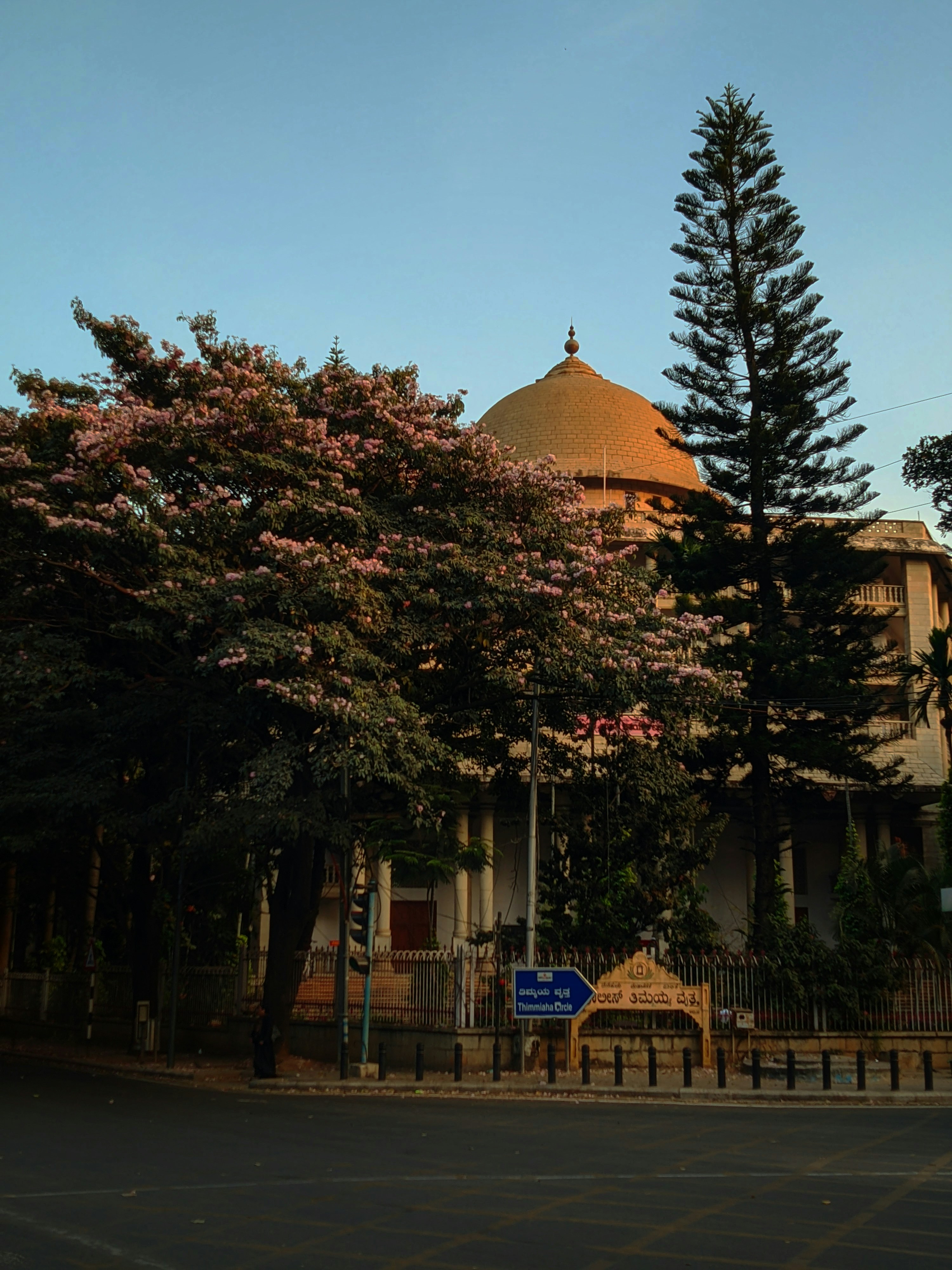 Dome Temple Framed by Blossoming Canopy at Golden Hour
