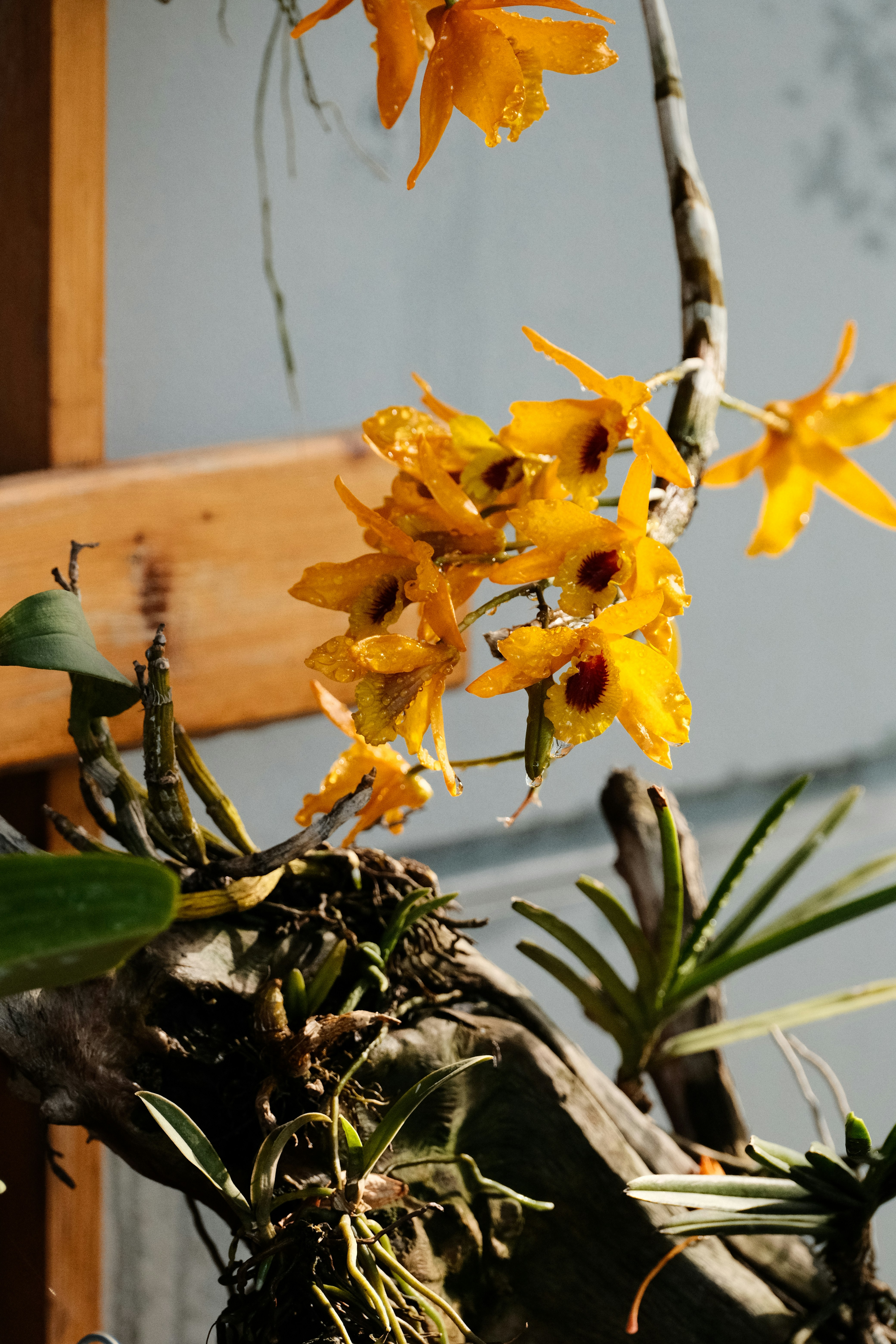 Photo by Duc Van with Fujifilm X-T30 II