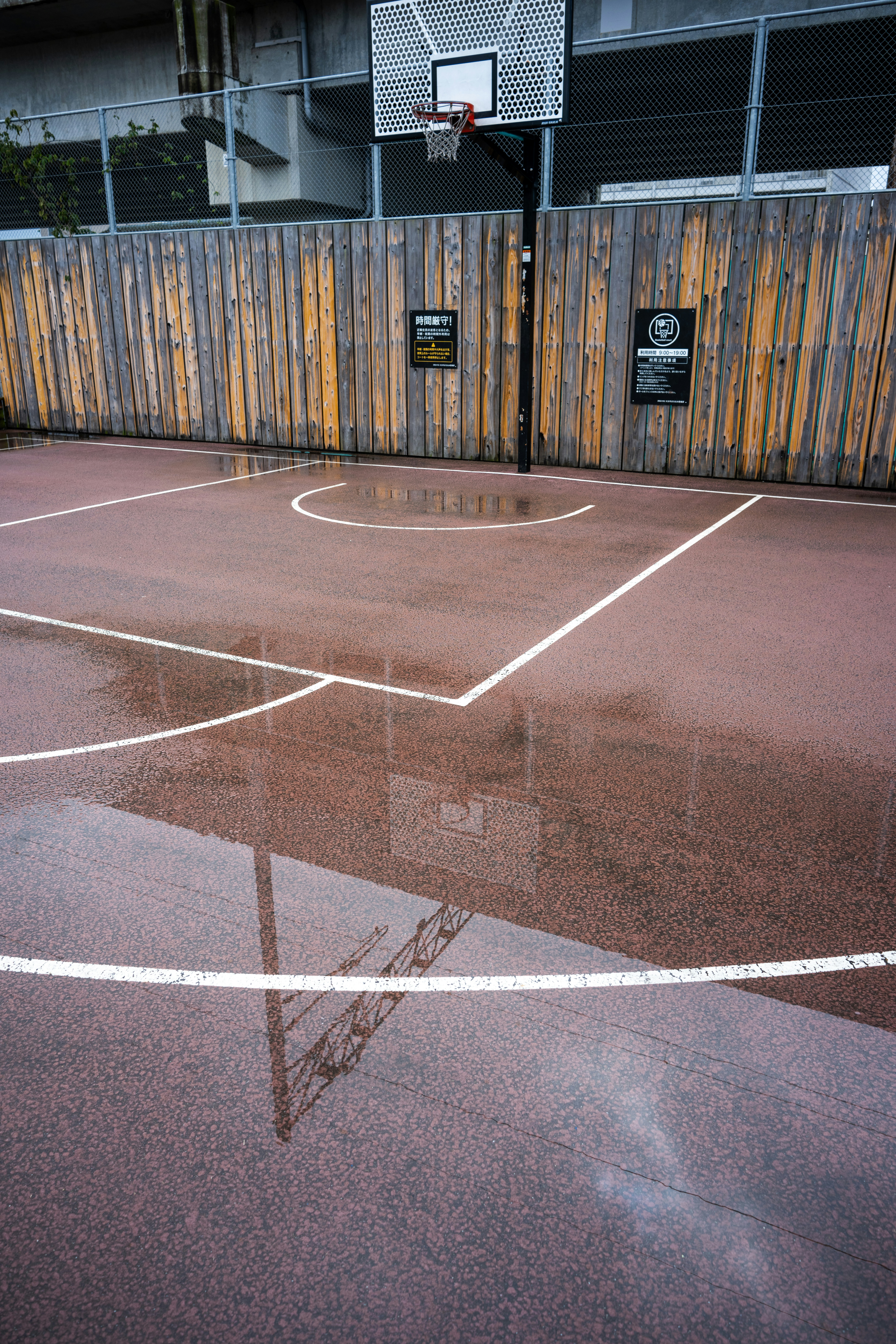 Rain-Slick Court: The Lone Hoop Reflects a Quiet Evening