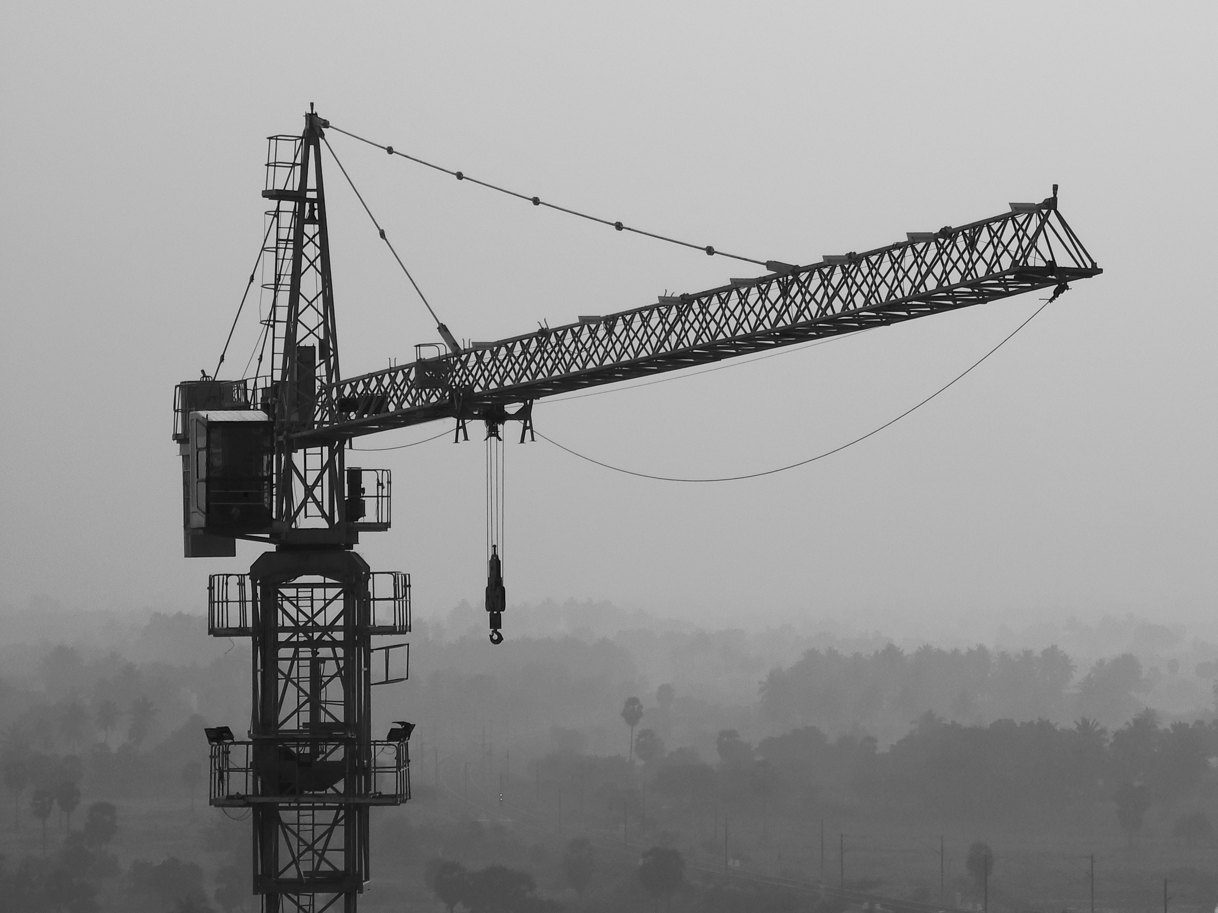Fogbound Crane: Lattice in Silence Over a Misty Horizon