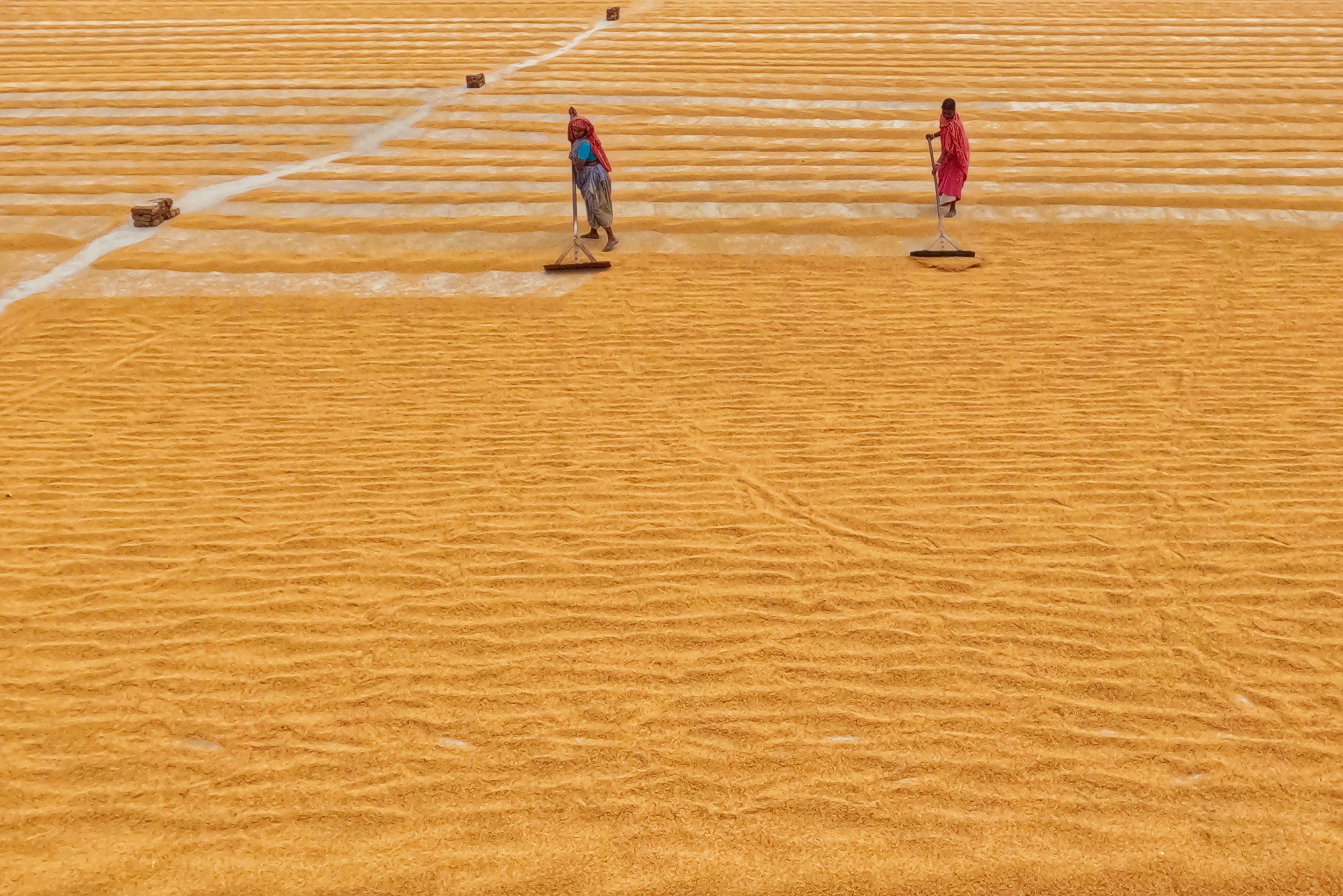 A couple of people standing on top of a sandy field photo – Free ...