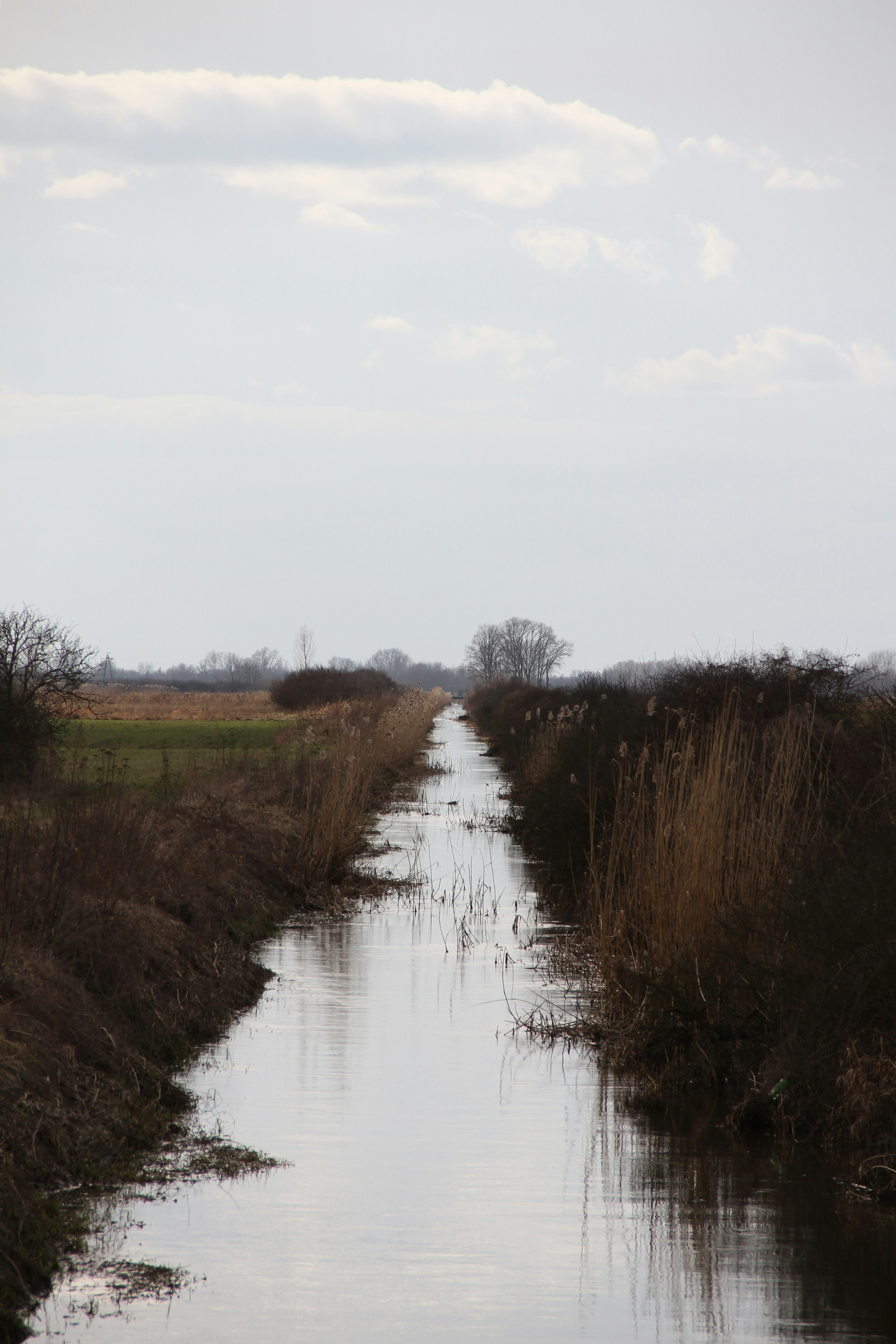 Calm waterway reflecting the overcast sky, bordered by dry reeds and distant trees. The scene evokes a sense of peaceful solitude.