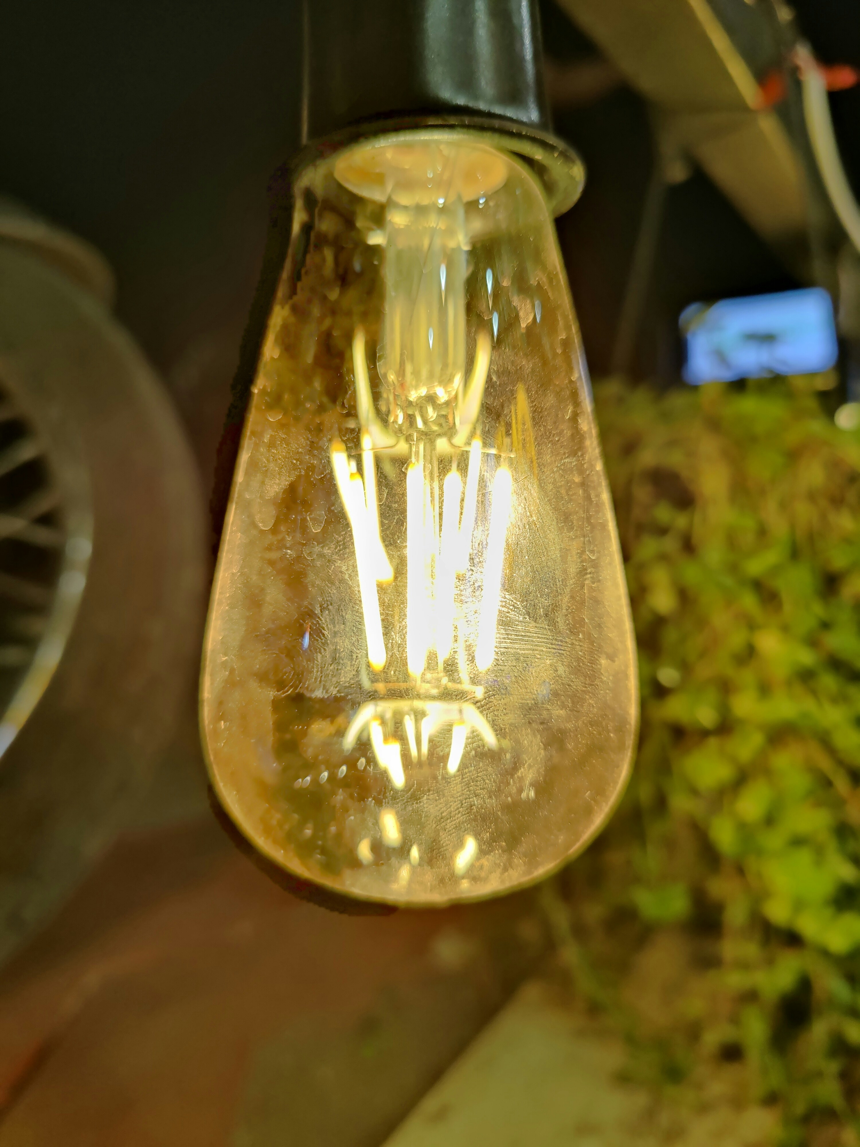 Close-up photograph of a glowing Edison-style bulb with visible filaments, set in a night outdoor scene with a car wheel and greenery.