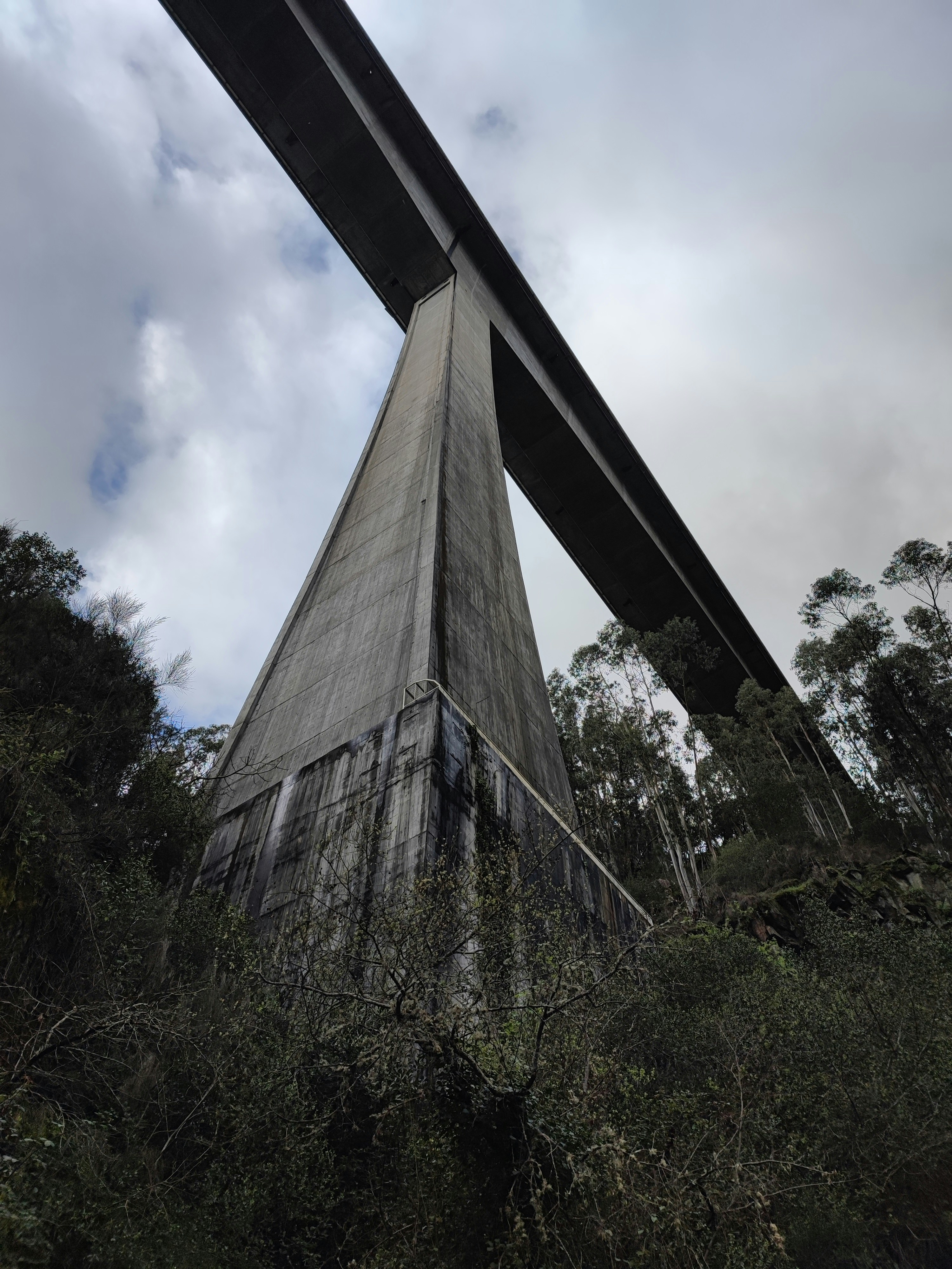 Monolithic Span: A Skyward Portrait of Concrete and Sky