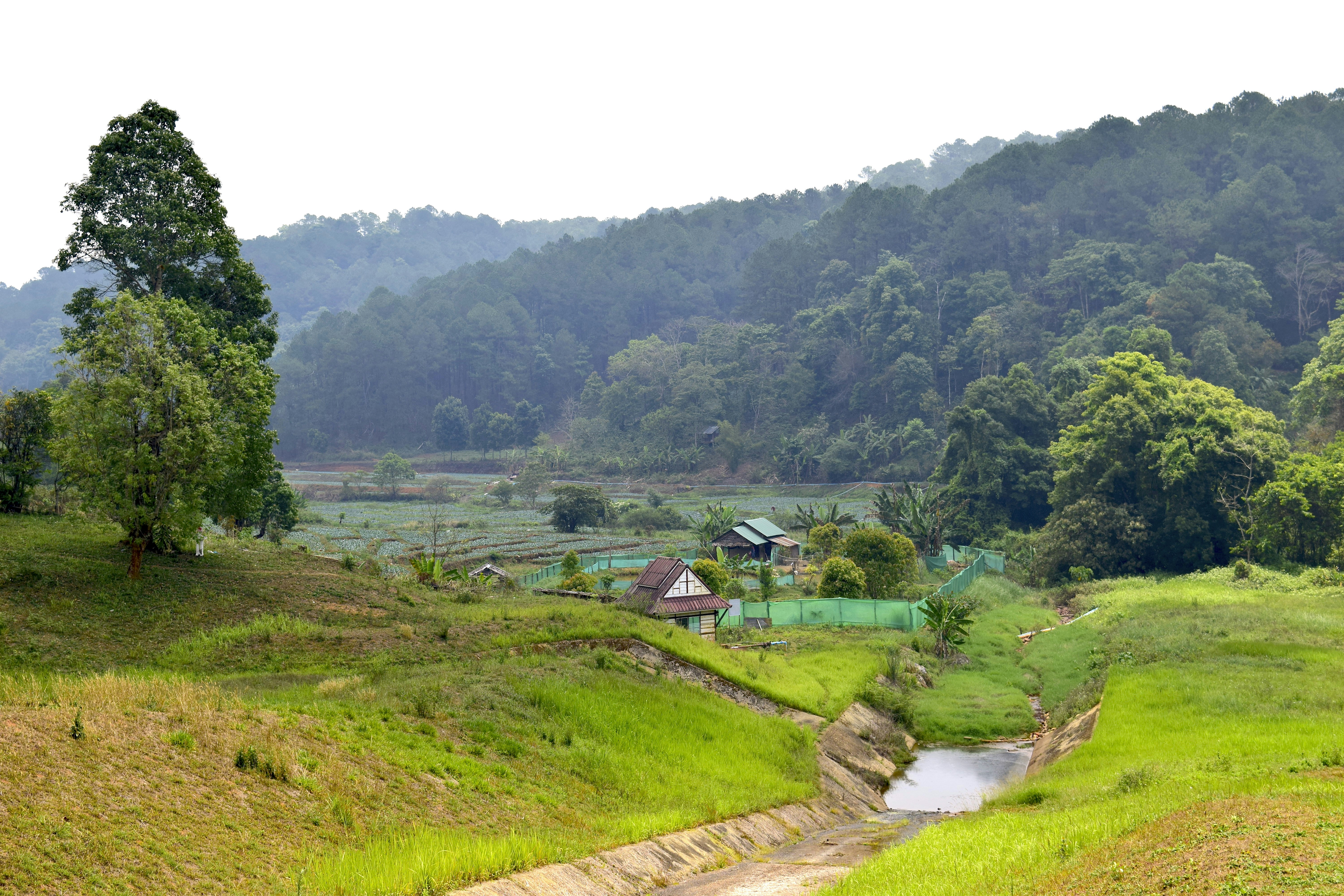 A small stream running through a lush green hillside photo – Free Mae ...