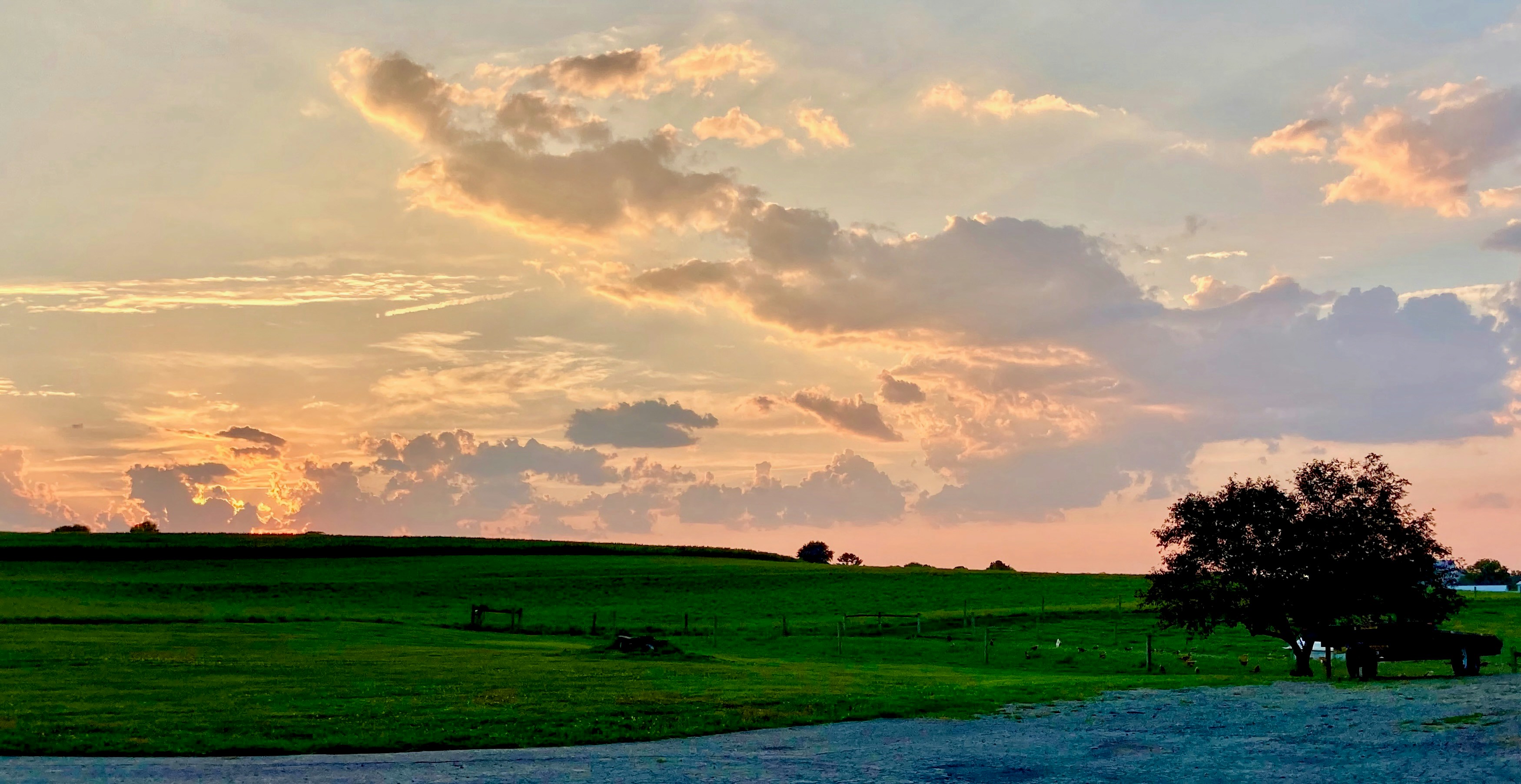 Ember Horizon over Verdant Fields and a Lone Tree