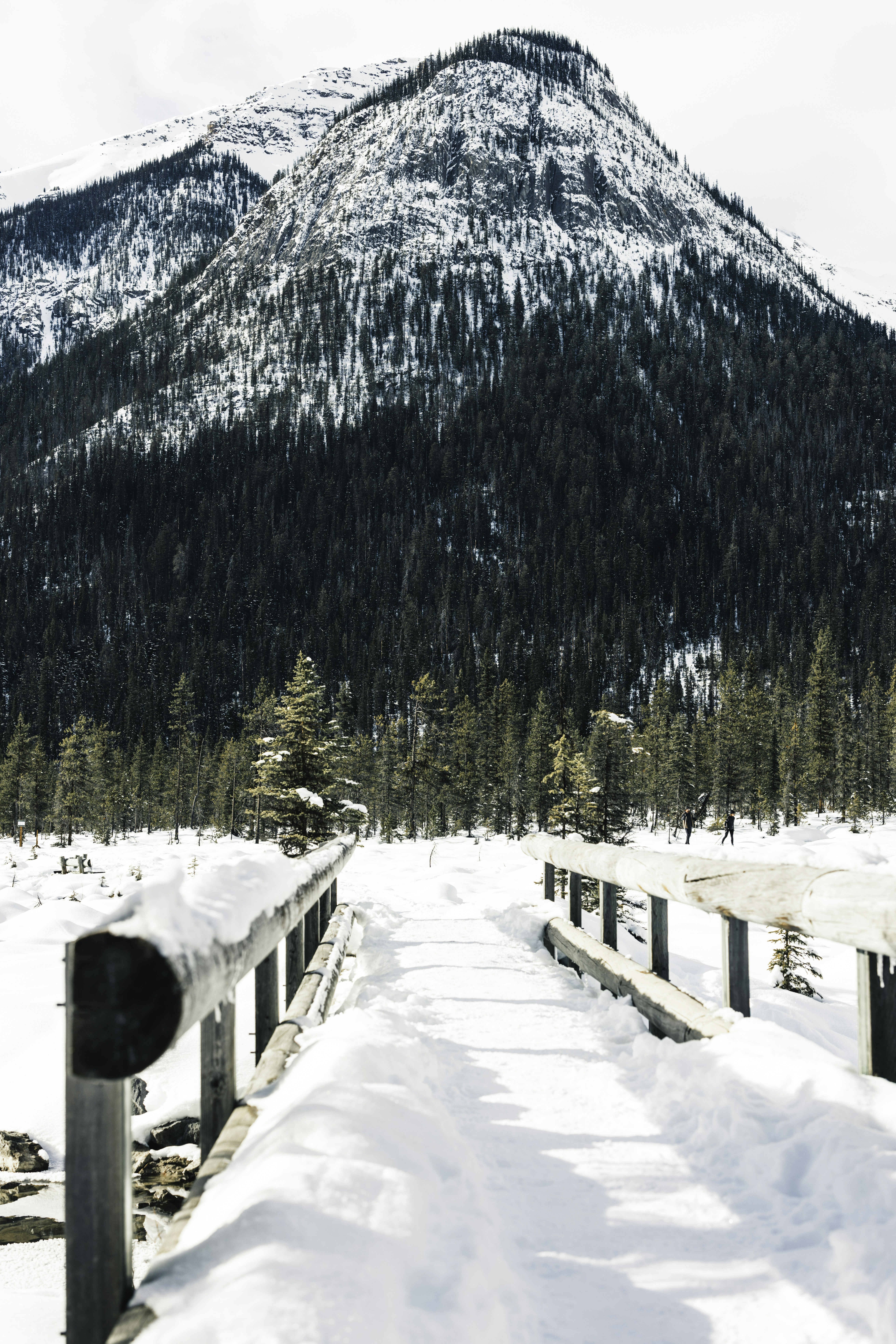 Snowbound Footbridge Toward a Pine-Crowned Mountain