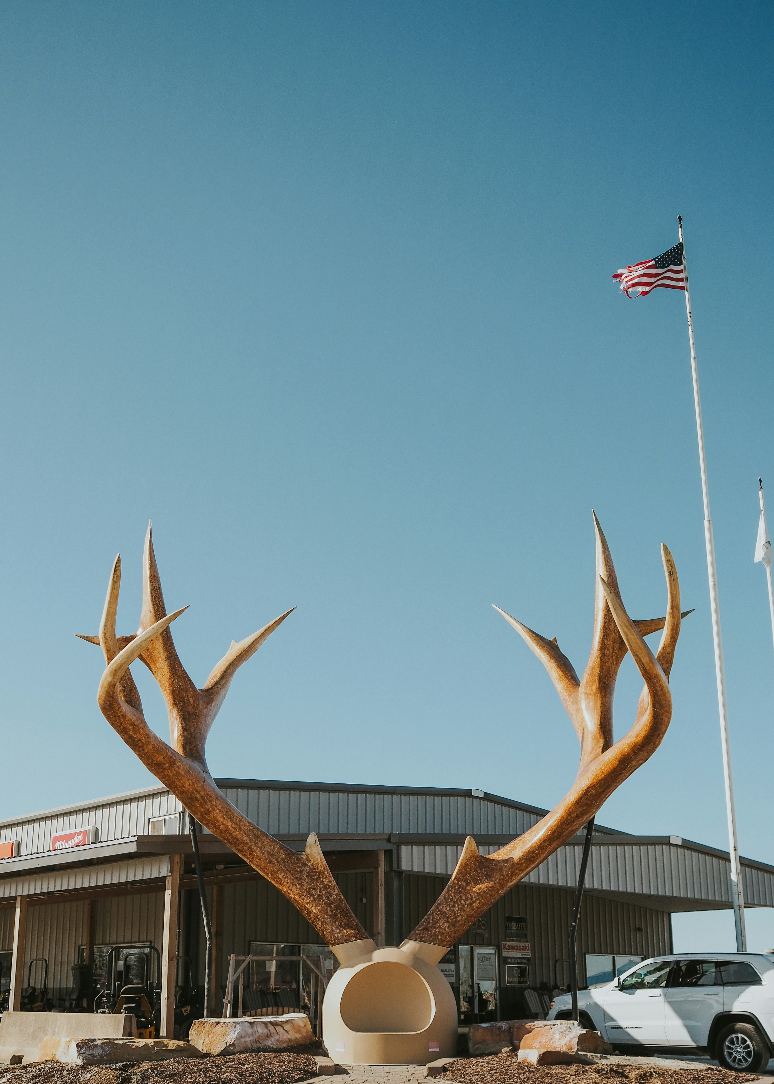 Antlered Landmark at the Quiet Transit Hub