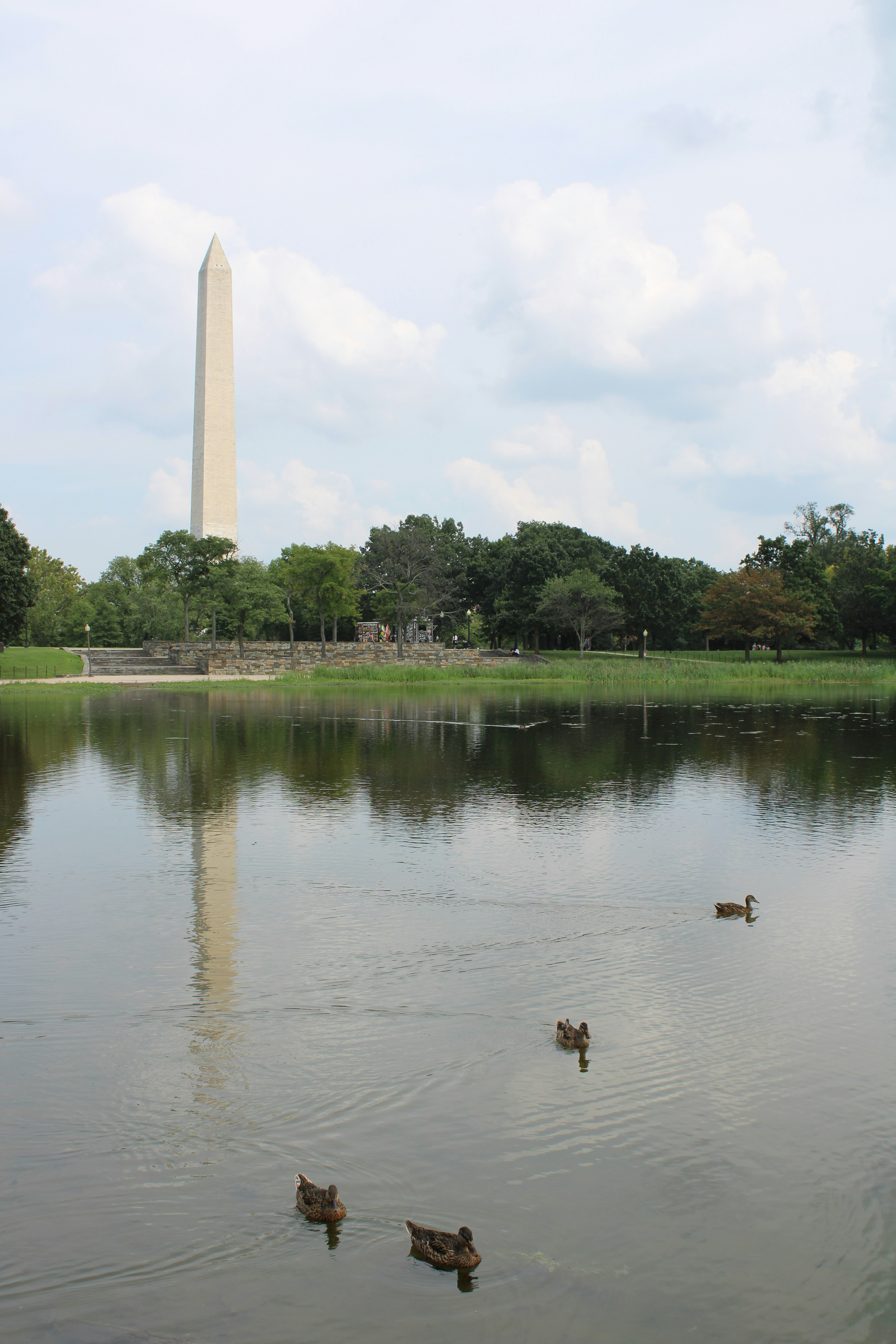 Monumental Mirror: The Obelisk Rising Over a Calm Pond