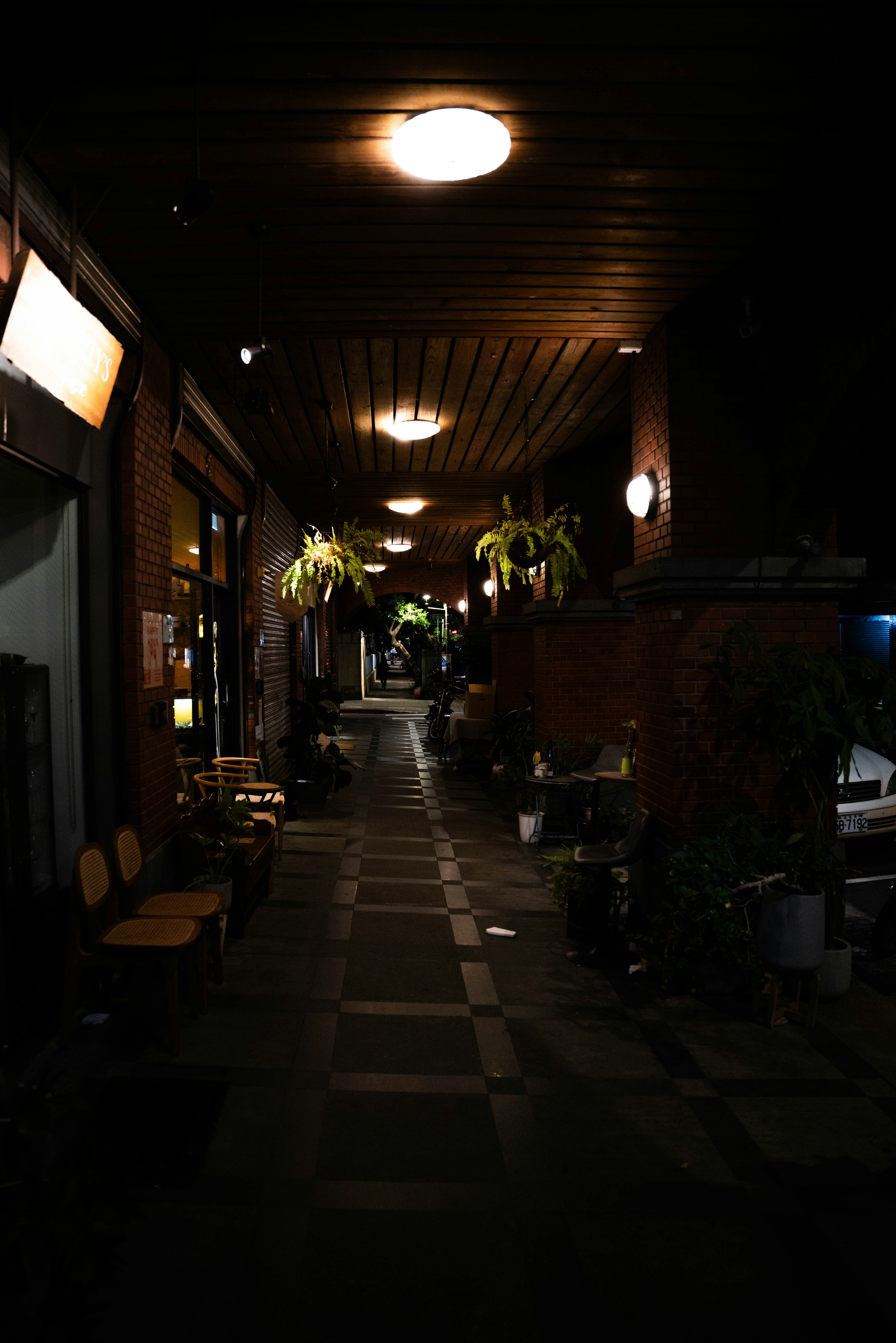 Photo by David Emrich with Sony Alpha 7R III