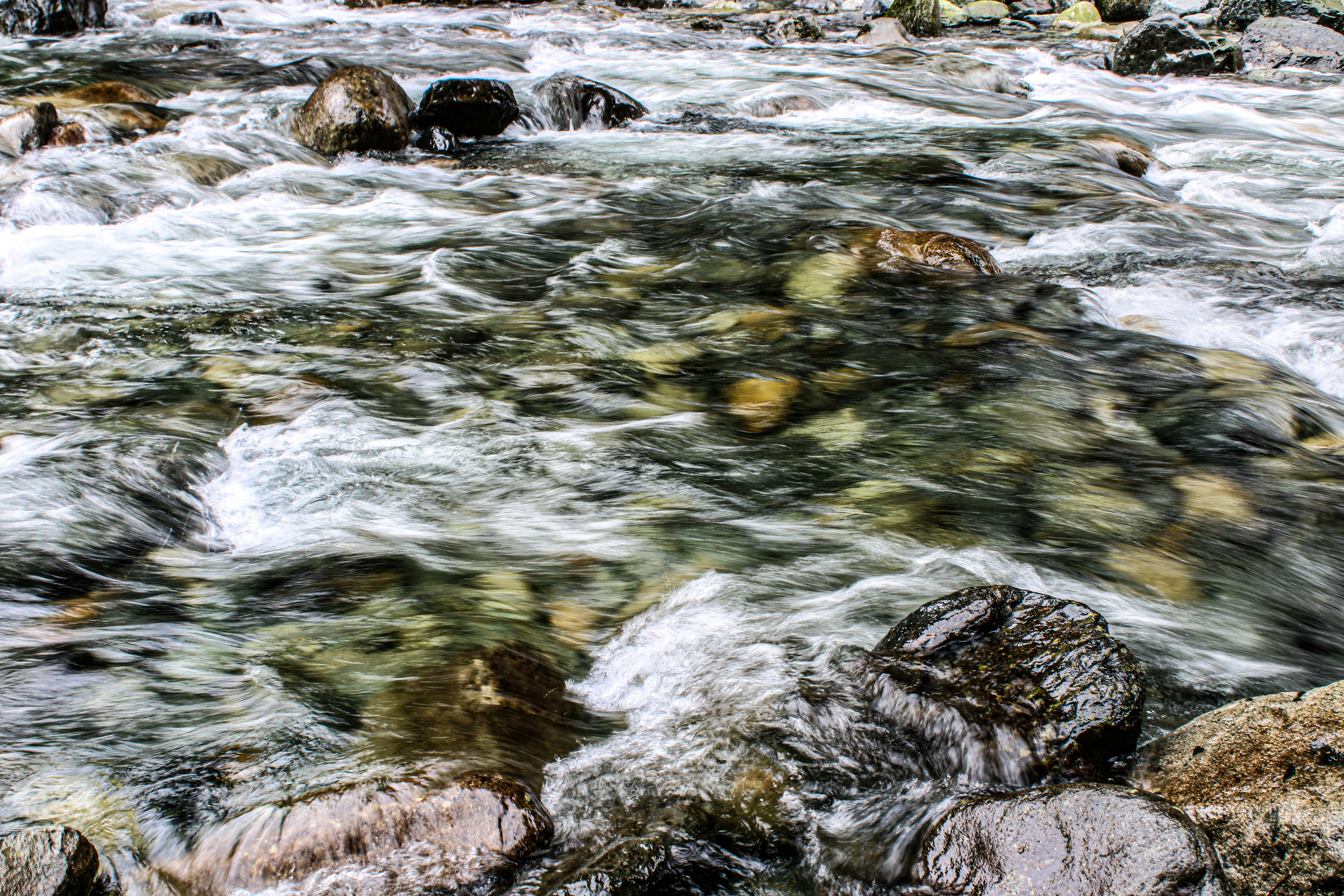 Un homme debout sur un rocher à côté d’une rivière photo – Photo ...