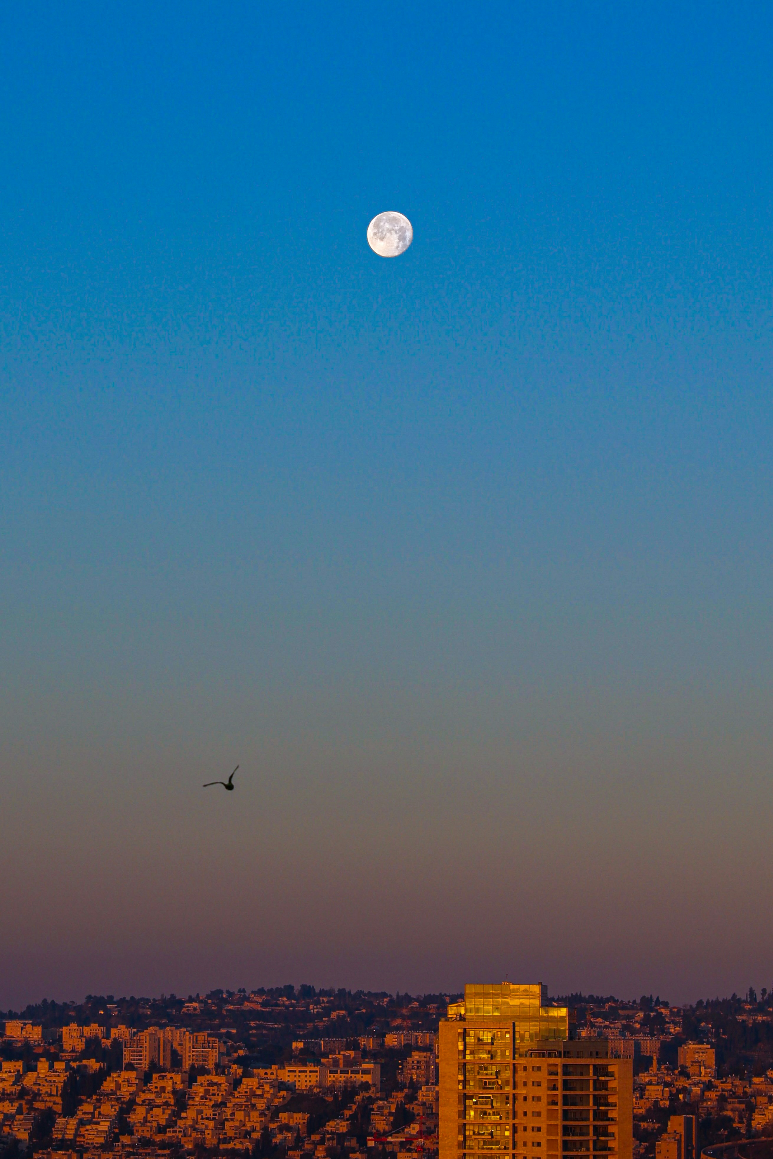 Sunrise or moonset?