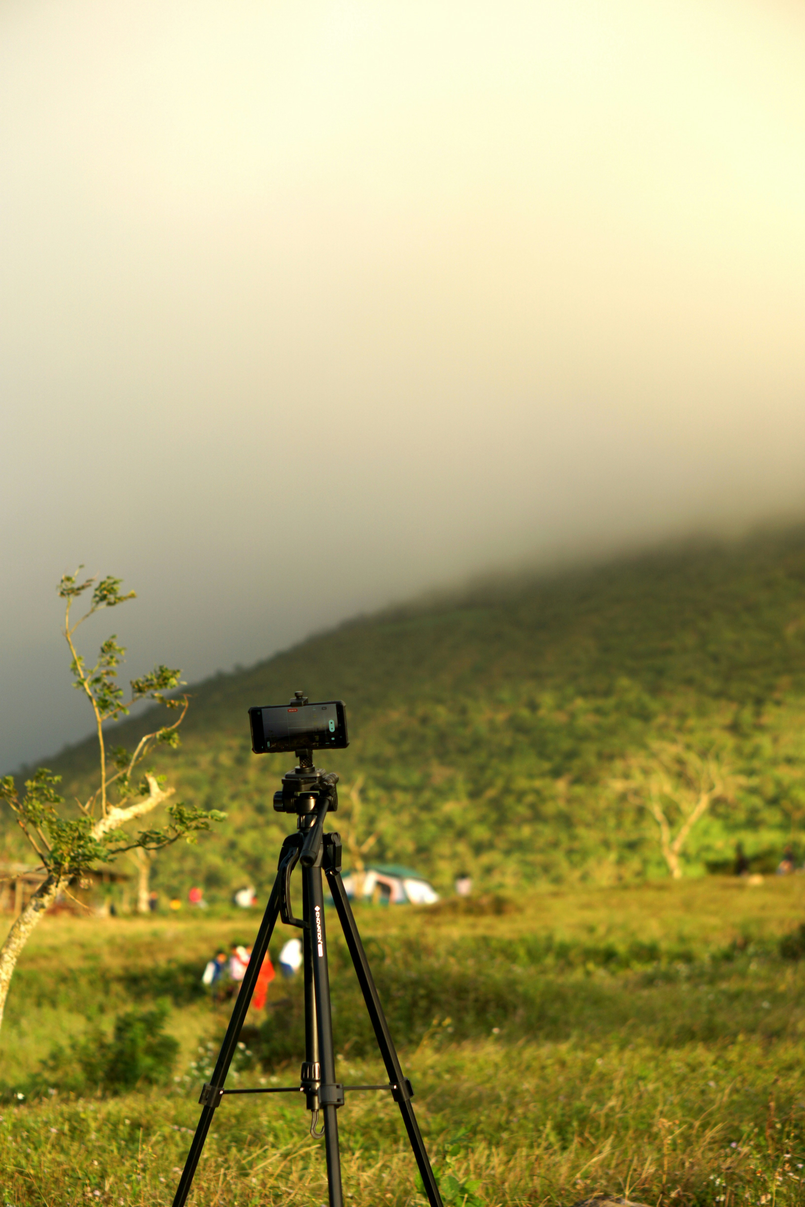 Silent Studio: A Smartphone on a Tripod Guarded by Morning Mist