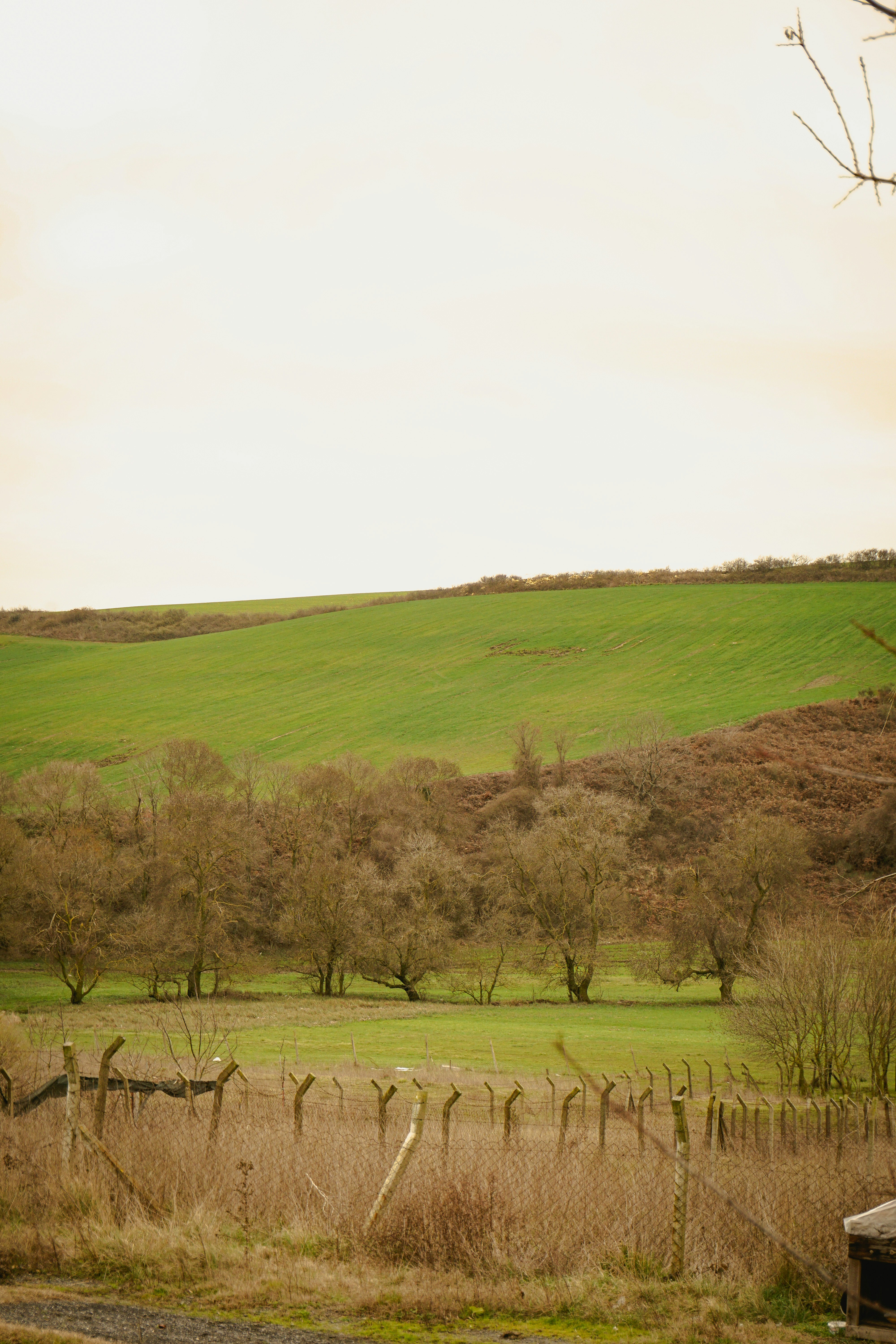 Photo by Ebru Yılmaz with Sony Alpha 6000