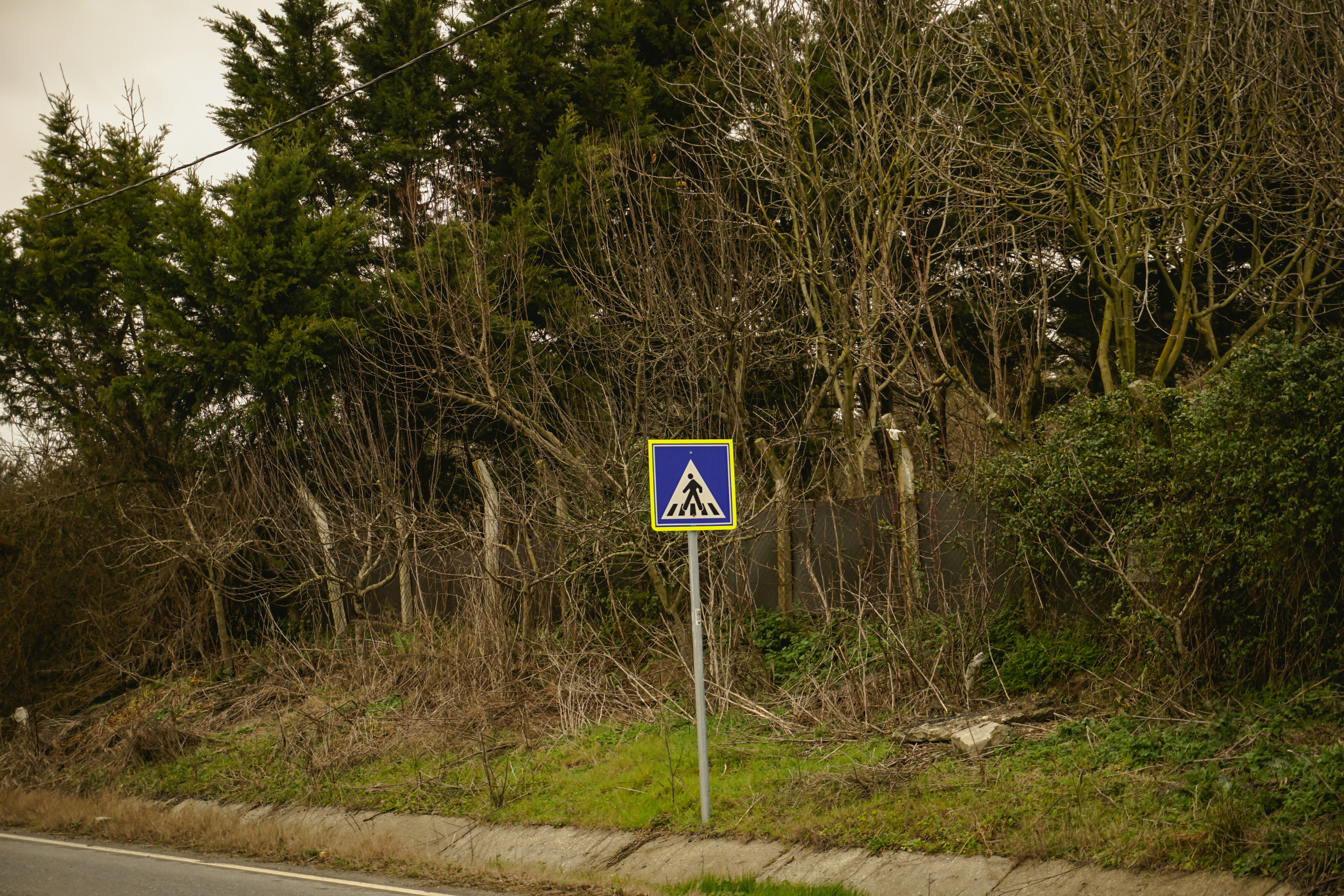 Confusing Road Sign Pictures | Download Free Images on Unsplash