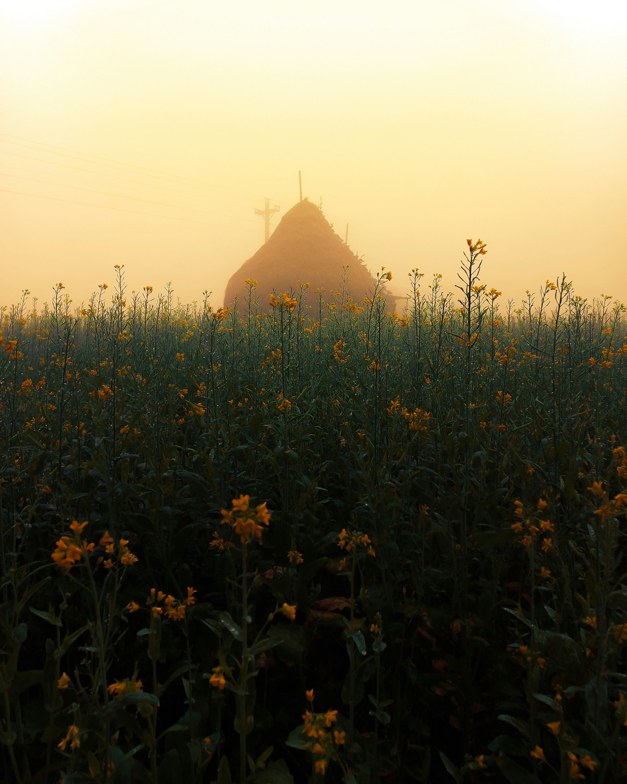 Elroy Cheo Explores Asia's Unique Approach to Web3 Innovation | Web3Wire