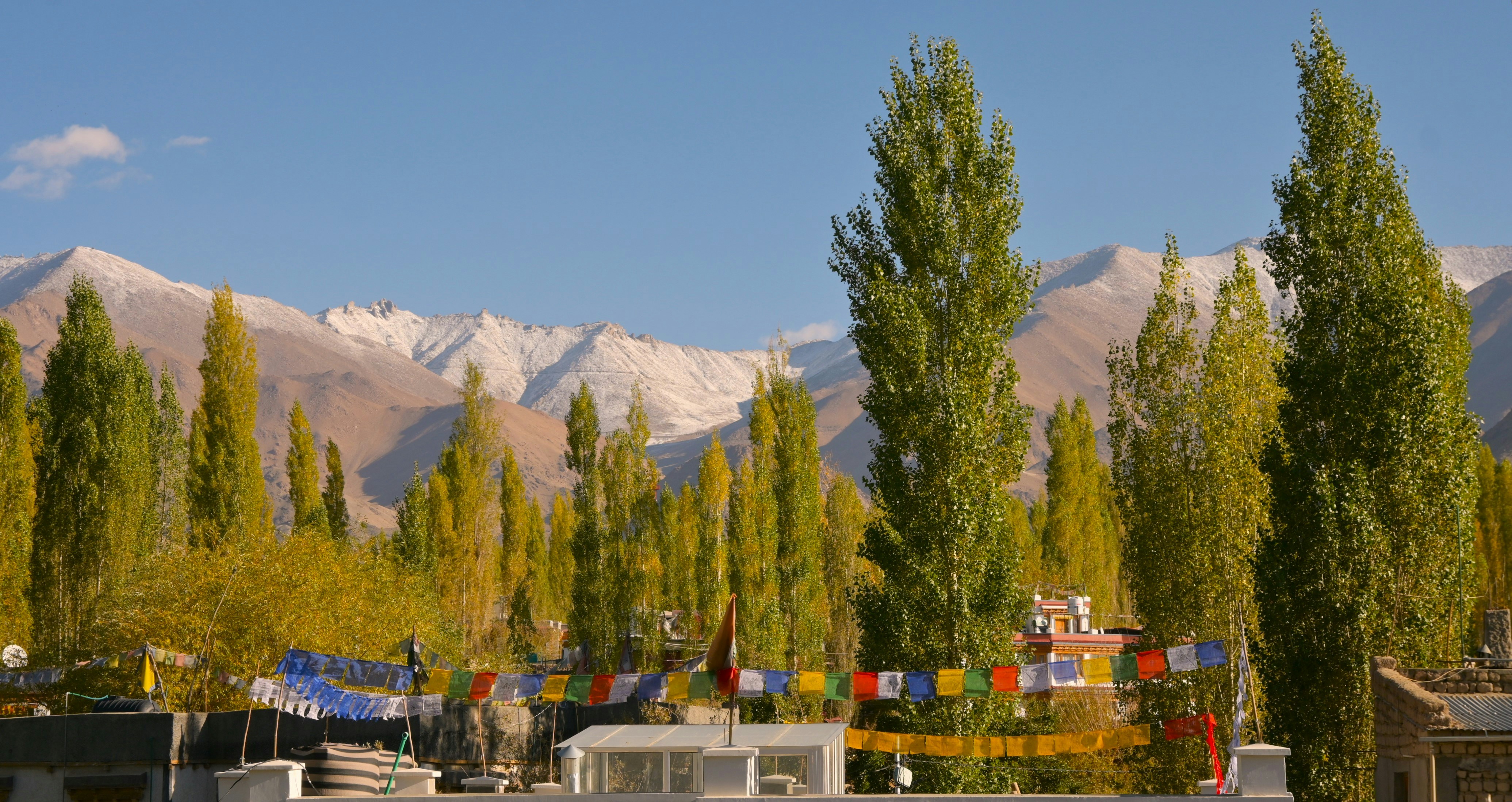500+ Ladakh Pictures | Download Free Images on Unsplash