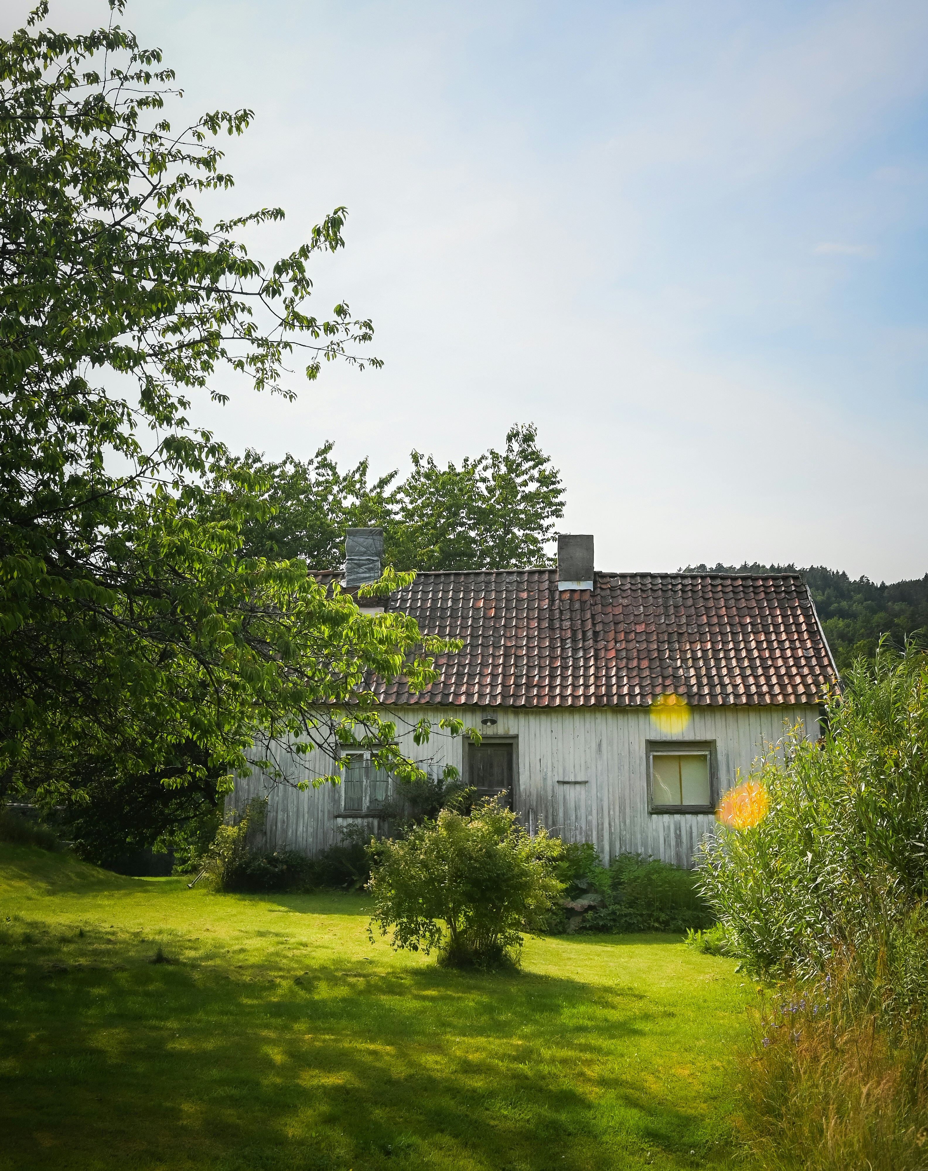 Photo by Alexandra with Nikon Z6