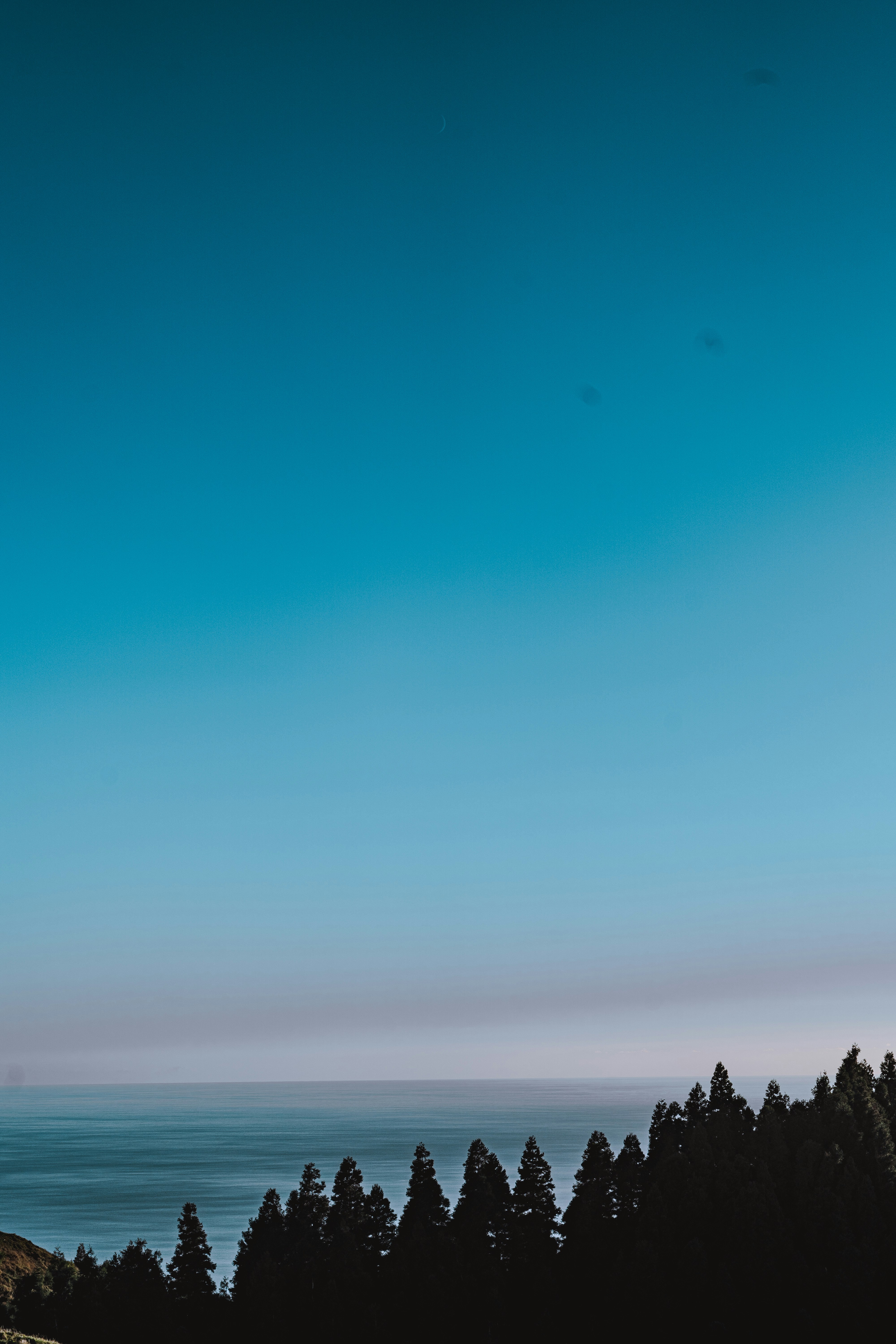 Reeich Shadow (@reichshadow) | Unsplash Photo Community