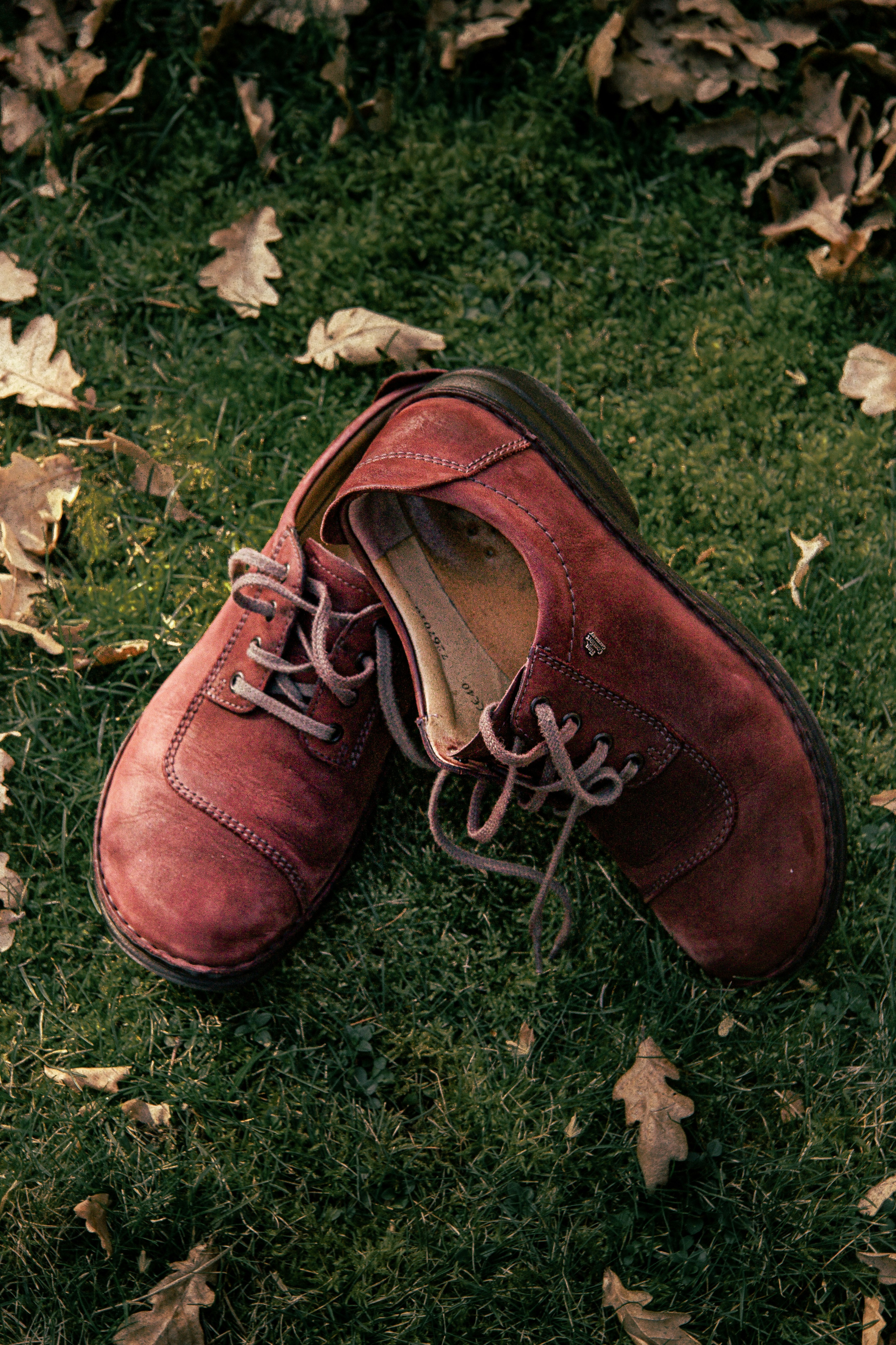 Burgundy Leather Shoes Resting on Moss: An Autumn Pause