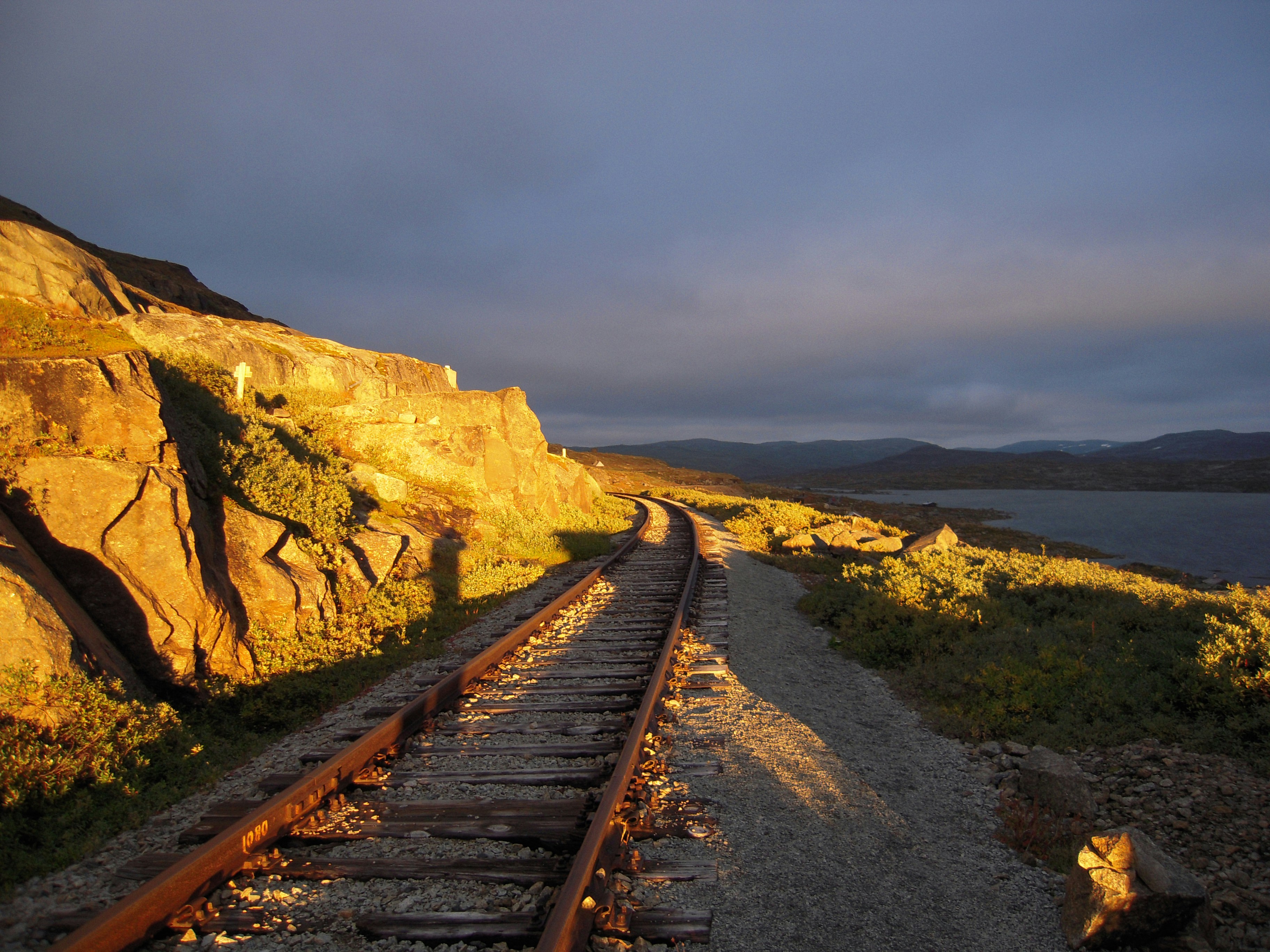 Rails wind along a rugged coastal cliff bathed in warm golden light. The scene emphasizes depth with converging tracks toward the distant horizon over calm water.