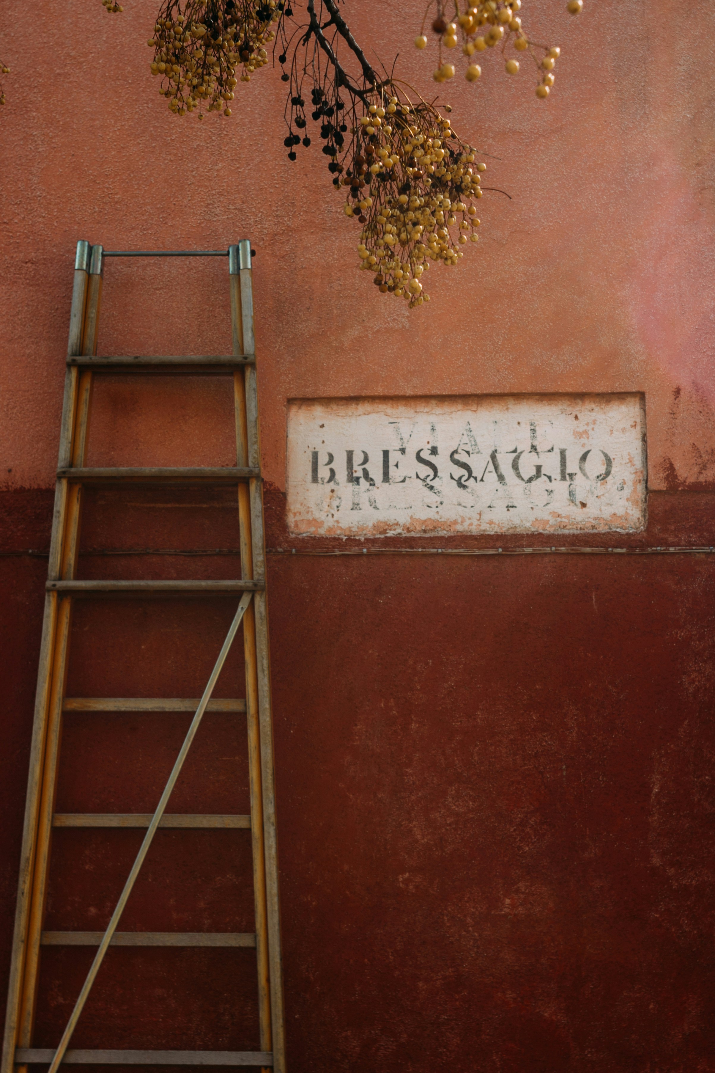 Rust and Red: A Leaning Ladder, Dried Berries, and a Faded Sign