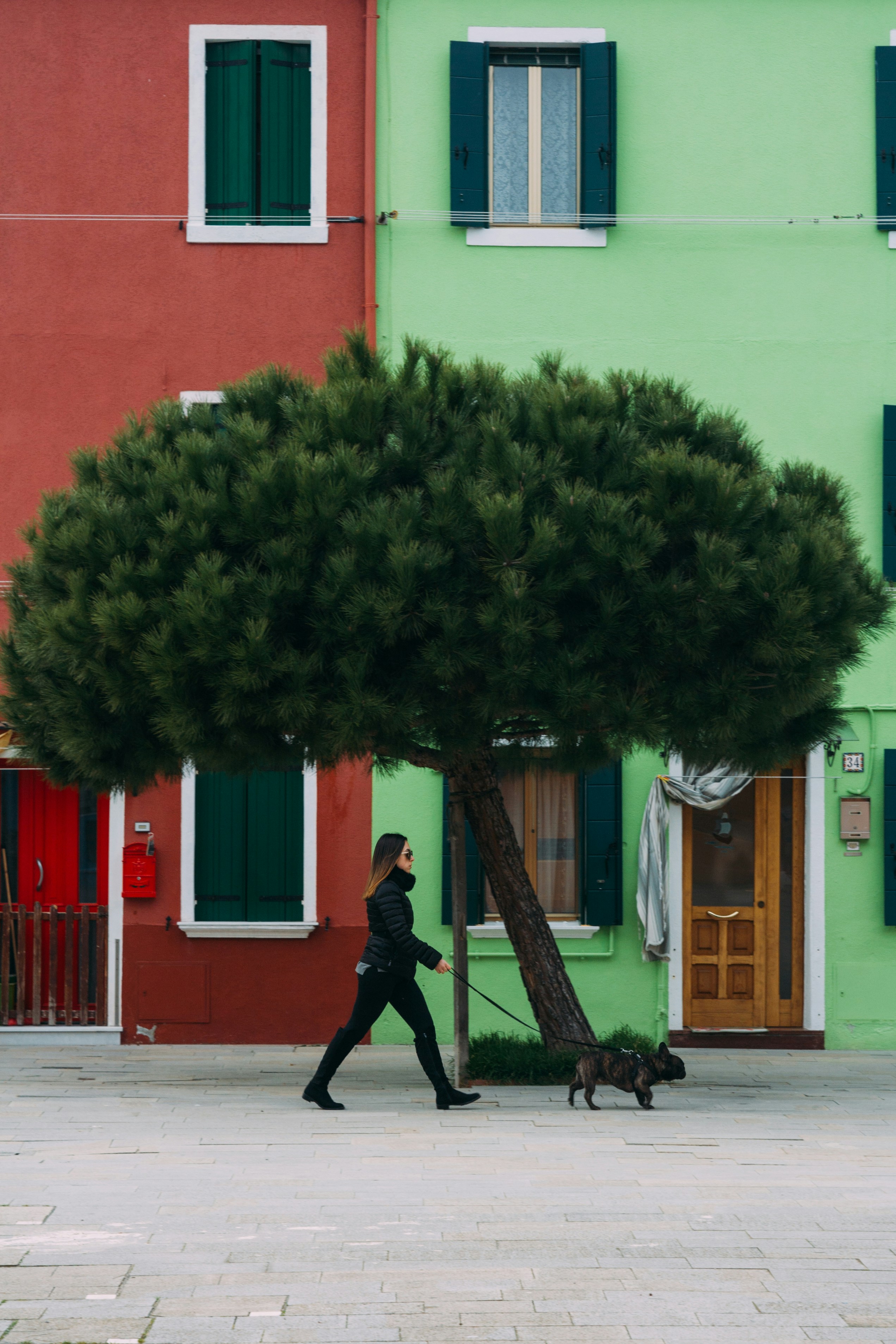 Stroll Beneath a Painted Canopy: Woman and Dog Against Colorful Facades