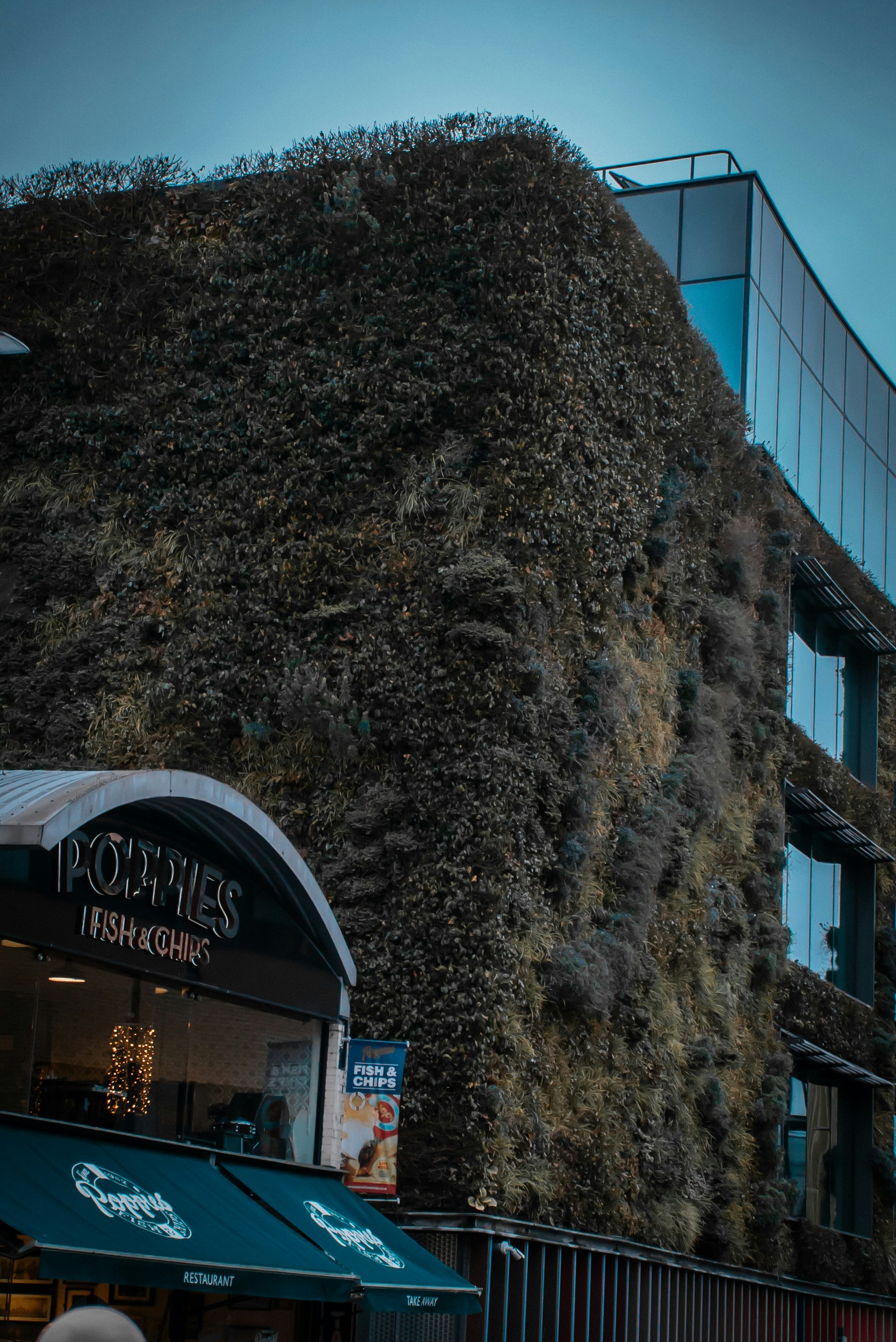 Verdant Facade: A Living Wall Clinging to a Glass-Fronted Corner