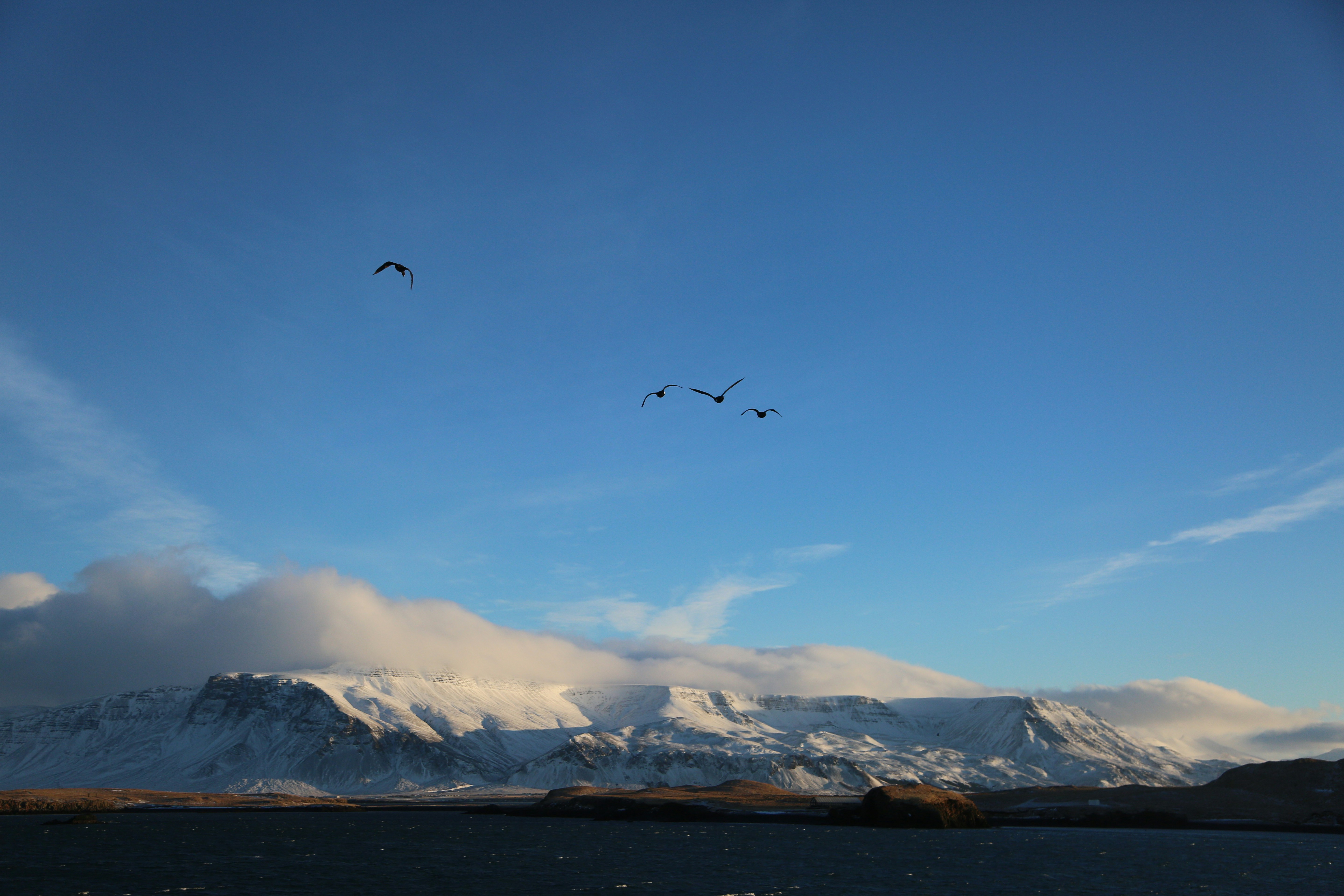 Snow-kissed Ridge Framed by a Cerulean Arctic Sky