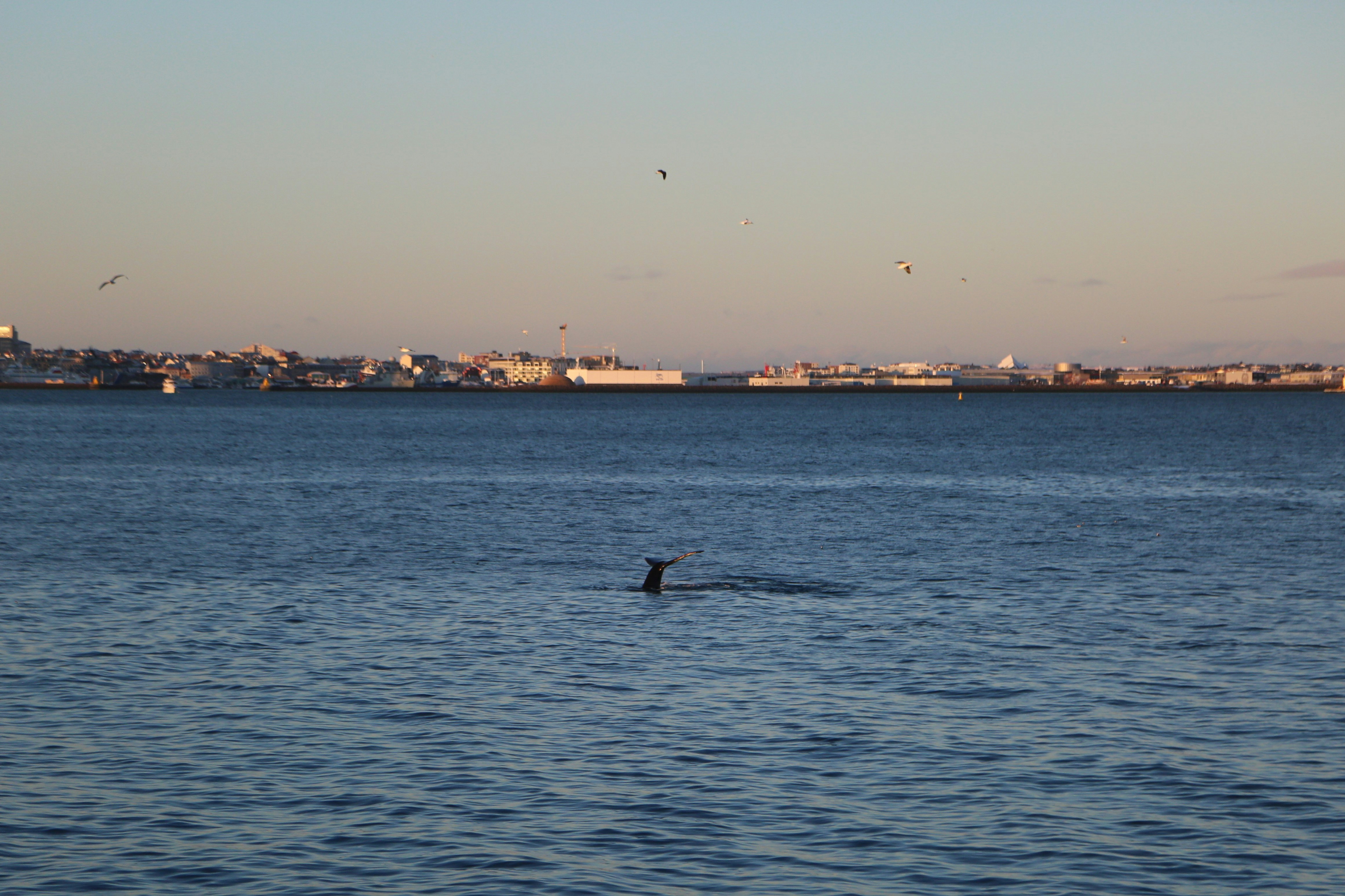 Photo by Chengyu Wang with Canon EOS 5D Mark III