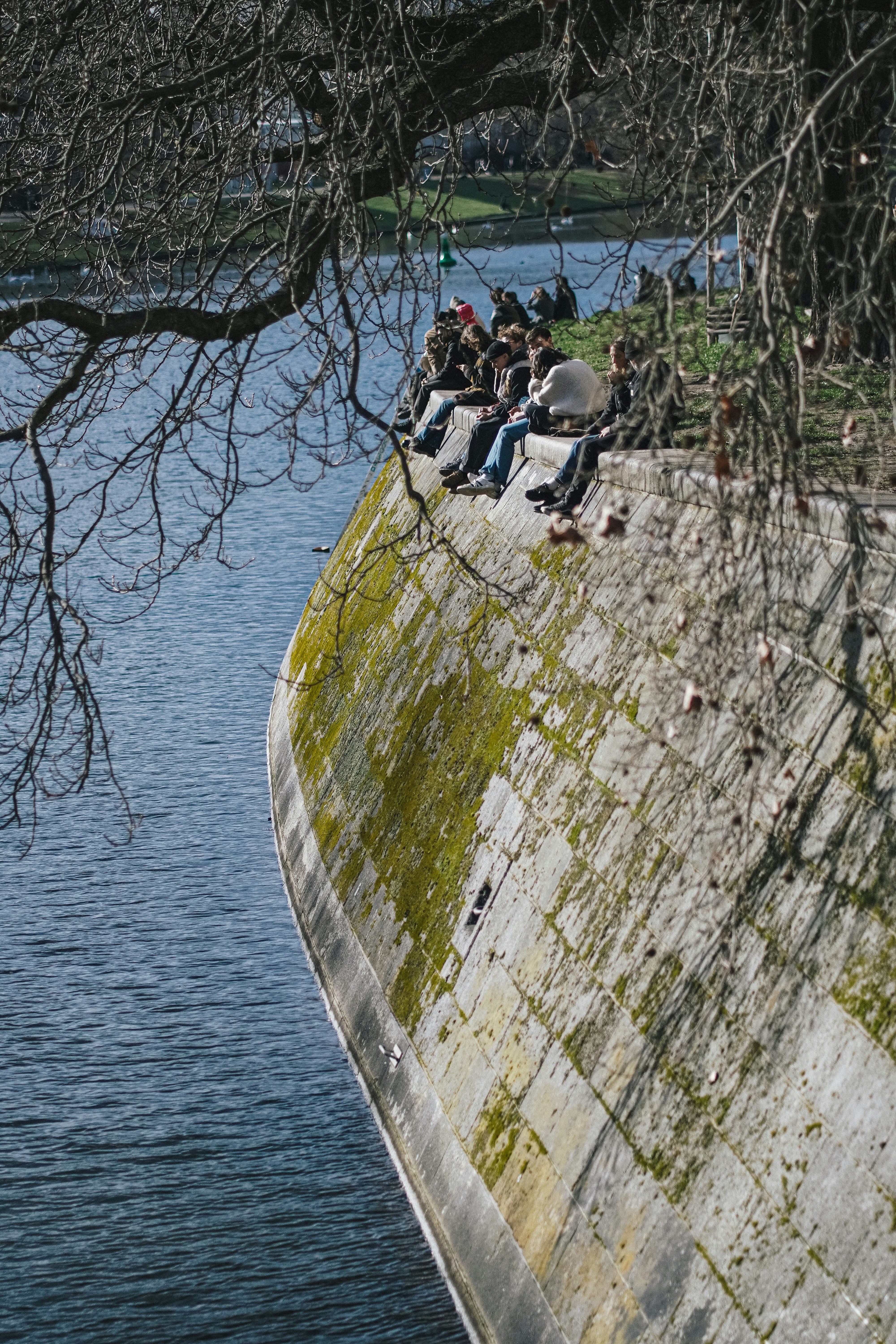 Moss-Streaked Quay: Riverside Congregation on a Curve