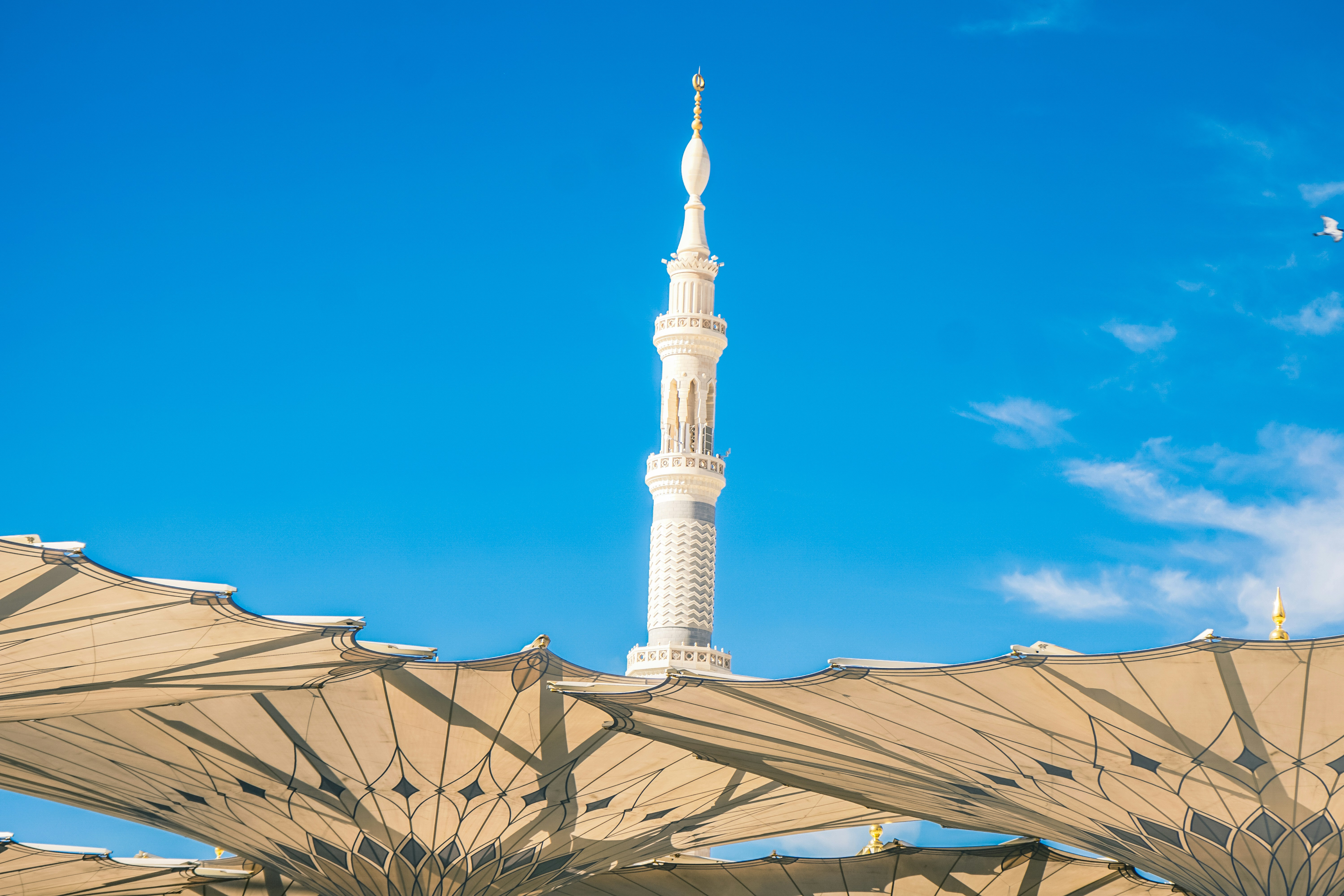 A tall white building with a clock tower in the background photo – Free ...