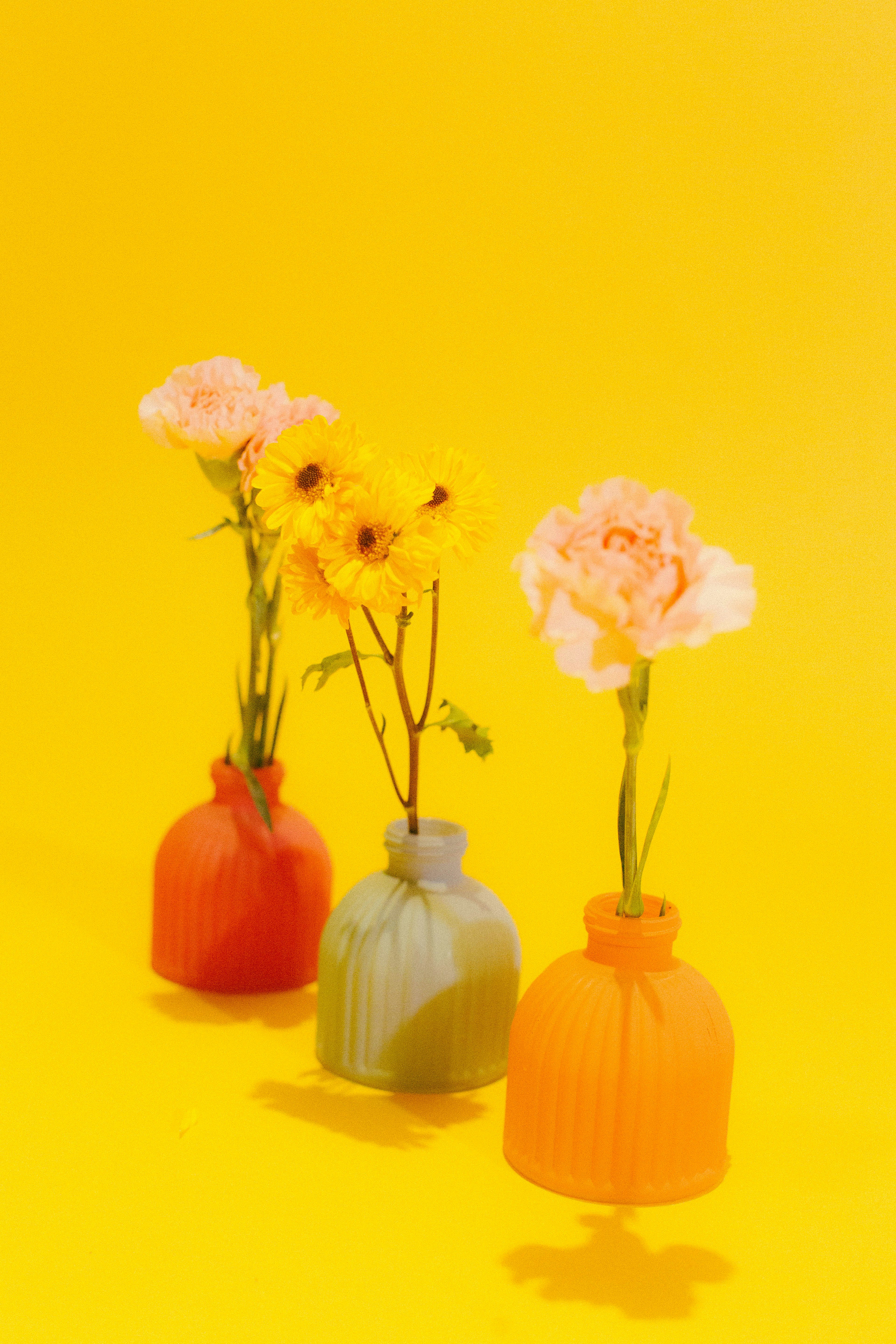 Vibrant Vessels: Trio of Colored Bottles with Sunlit Blooms